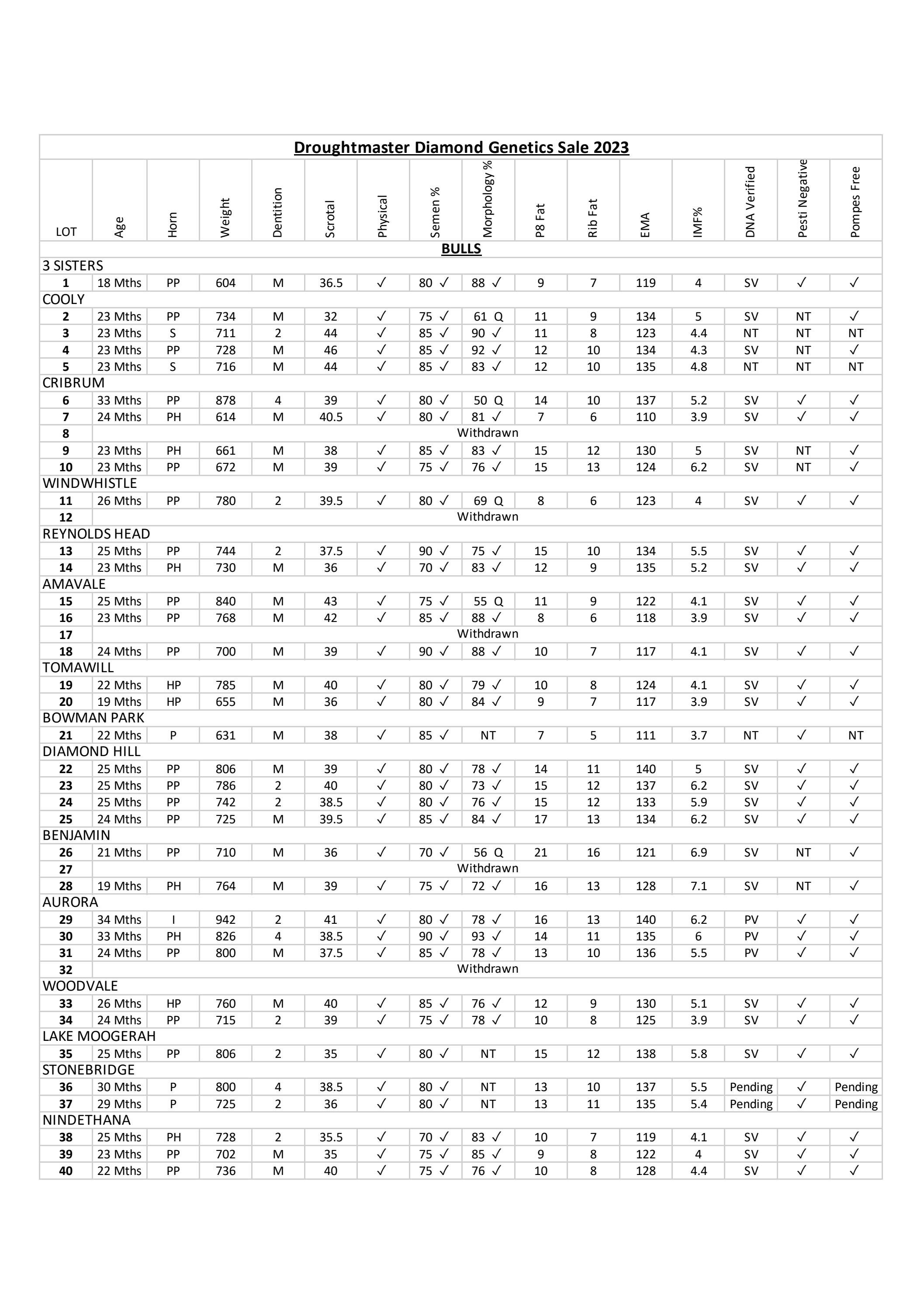 2023 Droughtmaster Diamond Genetics Sale Supplementary Sheet by ...