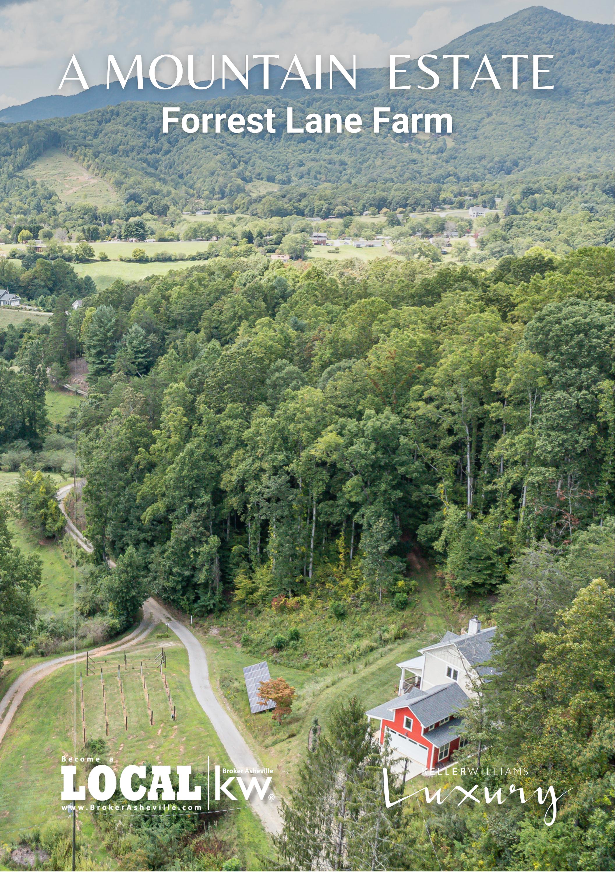 A Mountain Estate - Forrest Lane Farms by Broker Asheville - Issuu