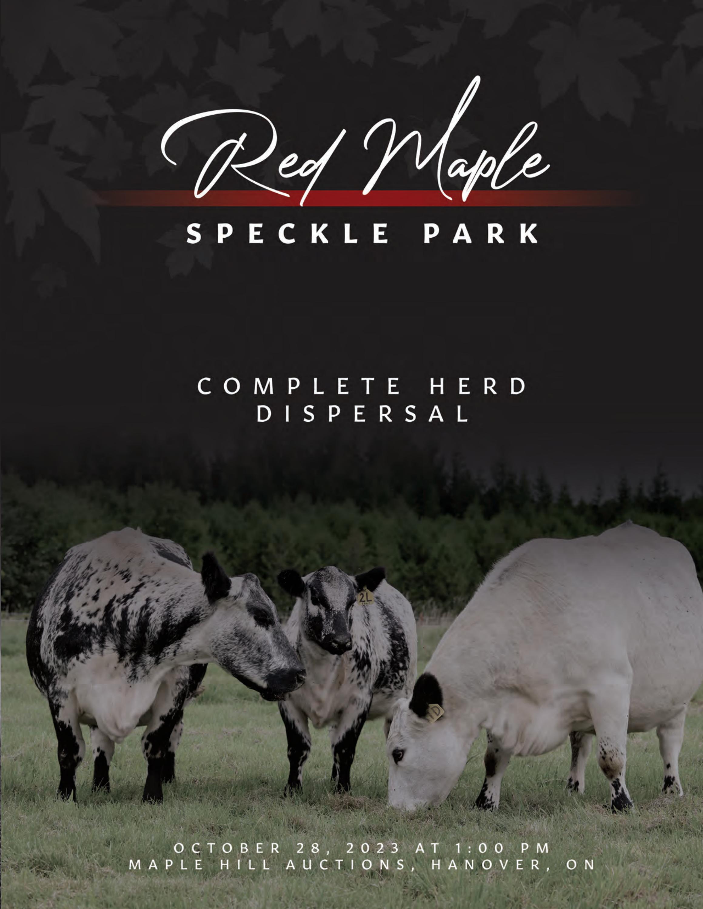 RED MAPLE SPECKLE PARK DISPERSAL by Today's Publishing Inc. - Issuu