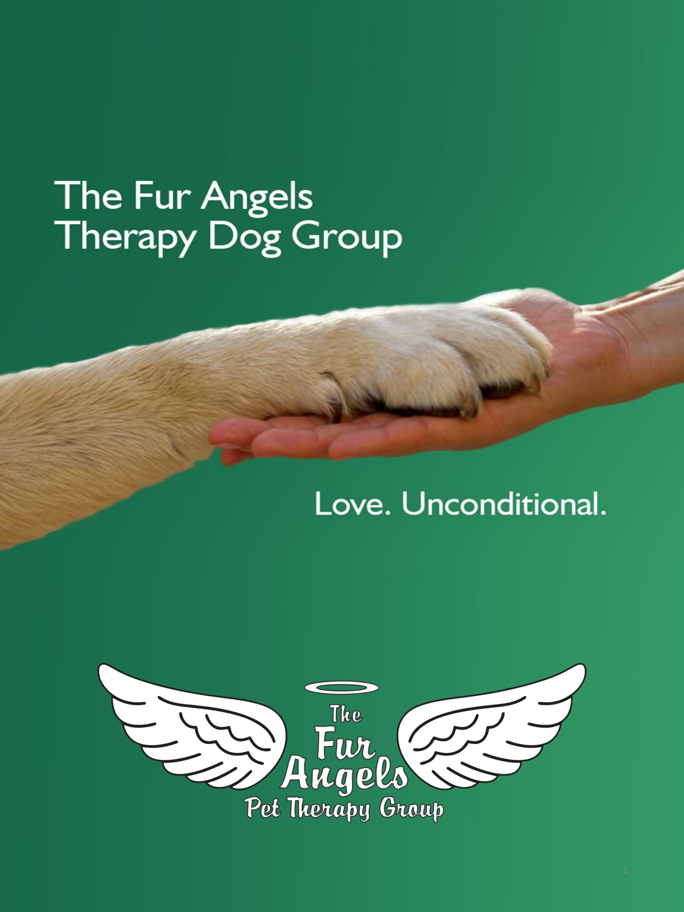 The Fur Angels Members Guide by NETFORM.sales - Issuu