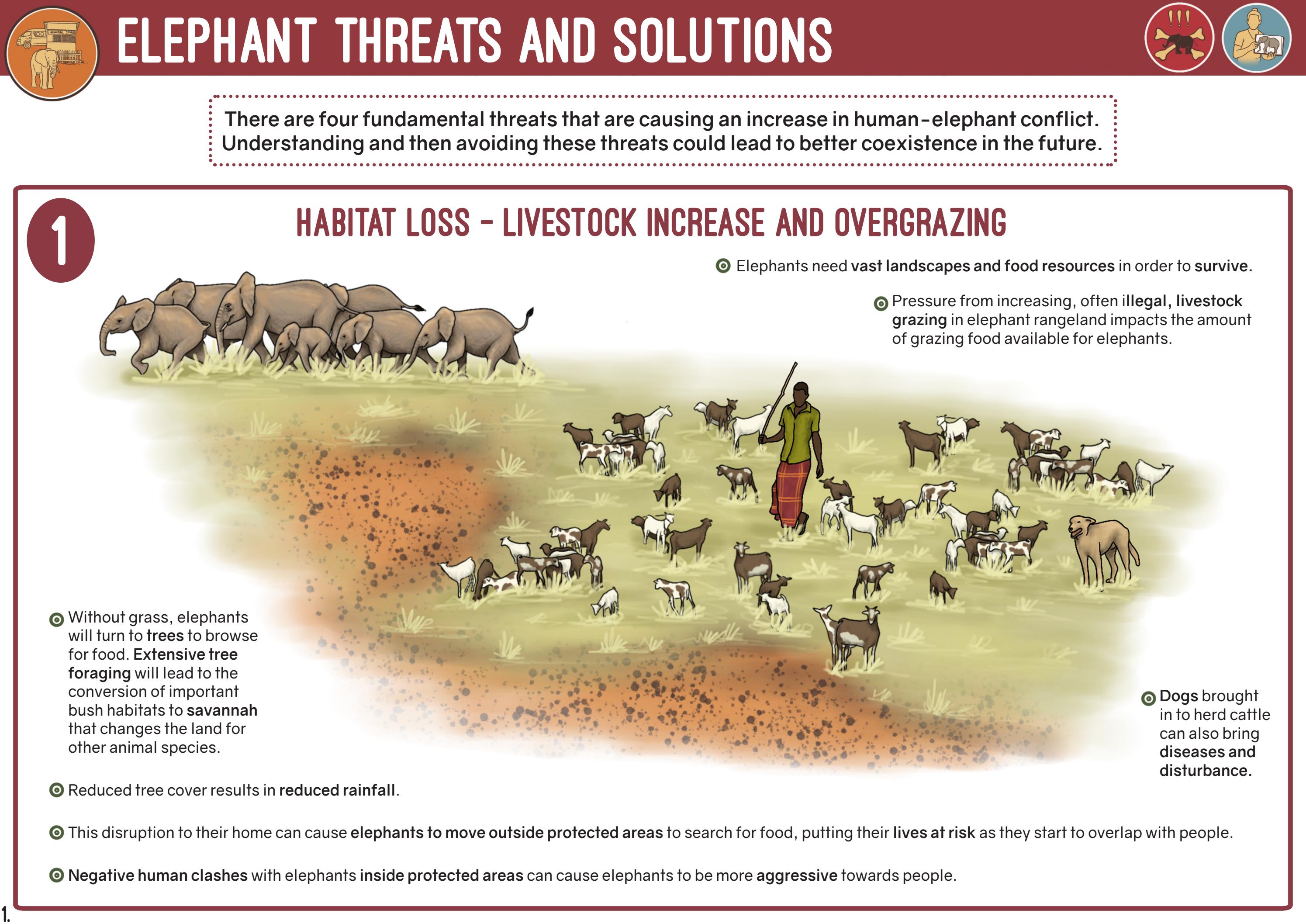 Elephant Threats and Solutions by Save The Elephants - Issuu