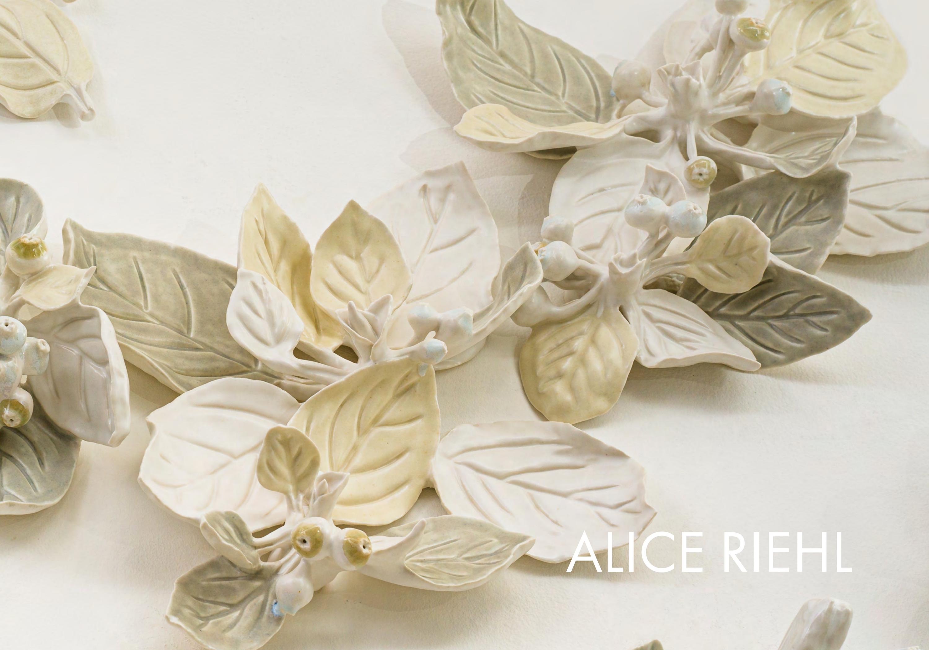 Alice Riehl by Todd Merrill Studio - Issuu