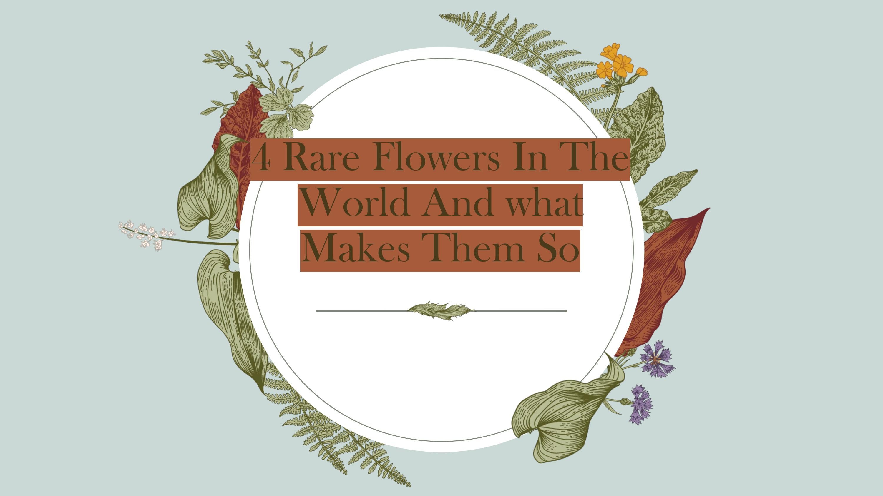 4 rare flora by EPAYindia - Issuu