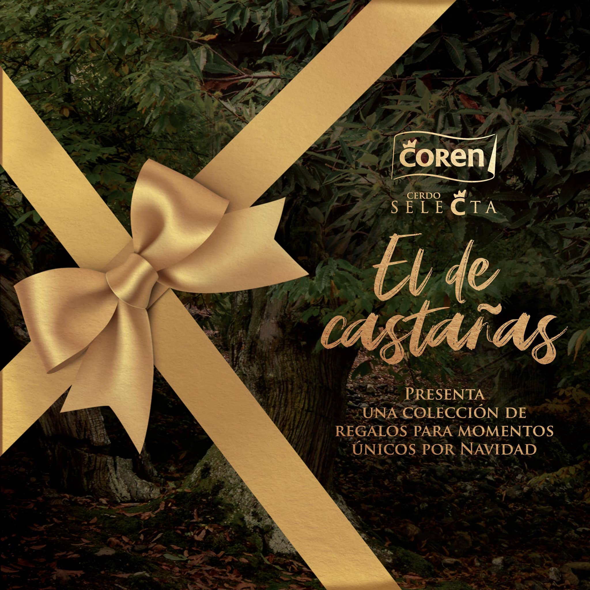 EL DE CASTAÑAS - COREN by Idea Creatividad - Issuu
