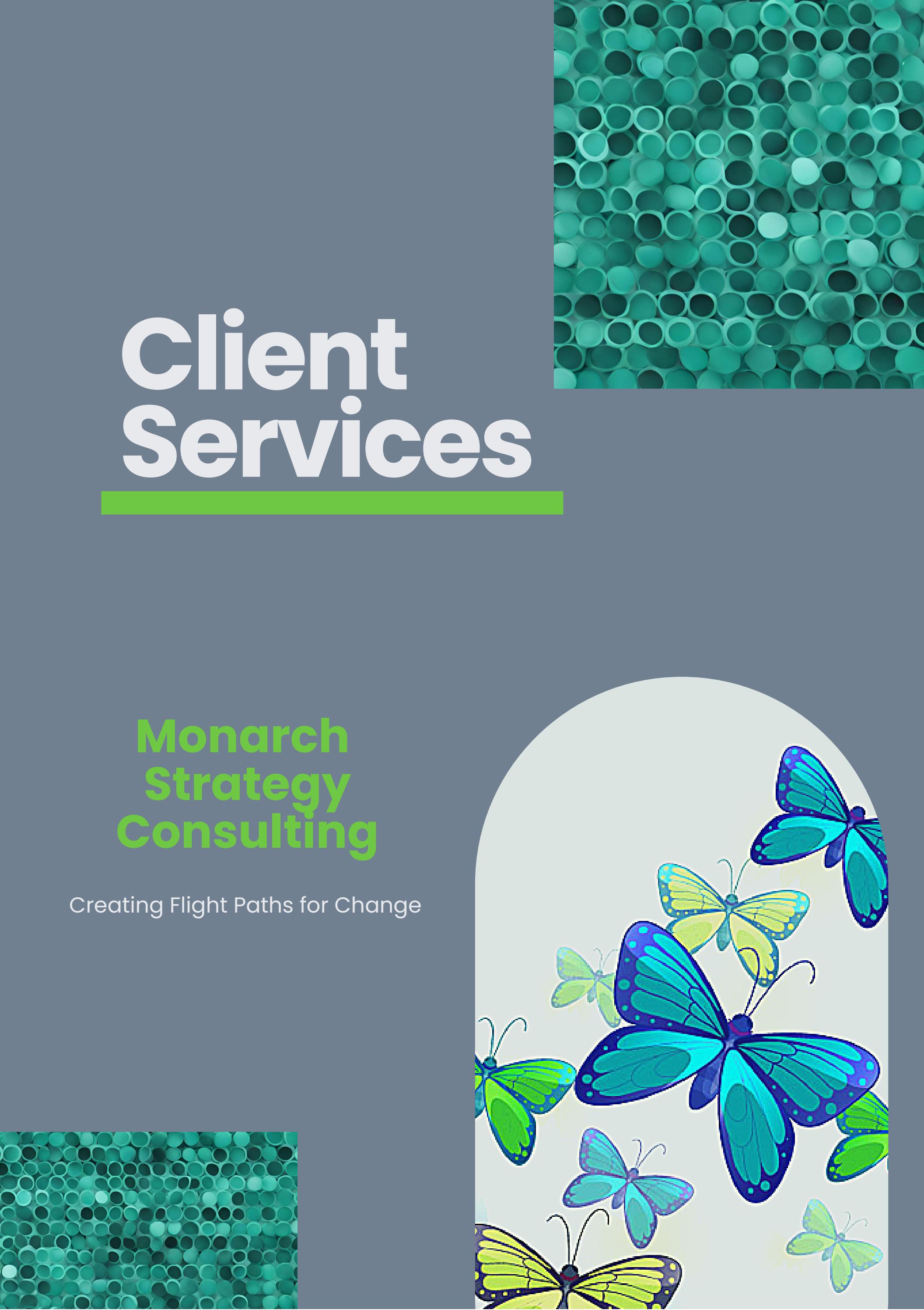 Monarch Strategy Consulting Client Services by ...