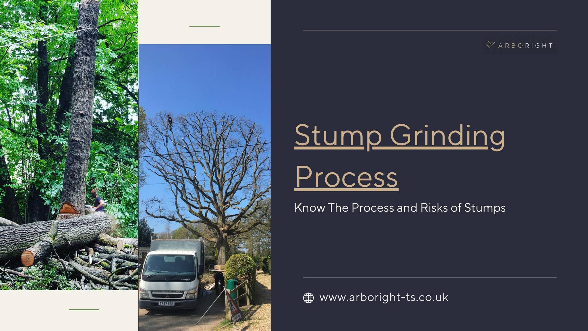 Stump Grinding Process – Know The Process and Risks of Stumps by ...