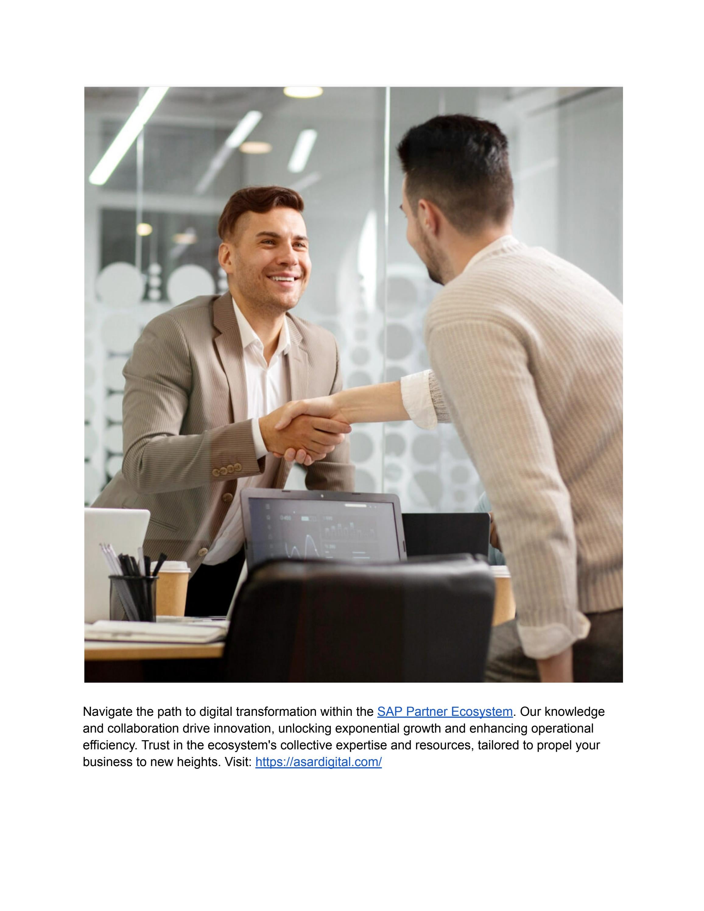 SAP Partner Ecosystem by asardigital2024 - Issuu