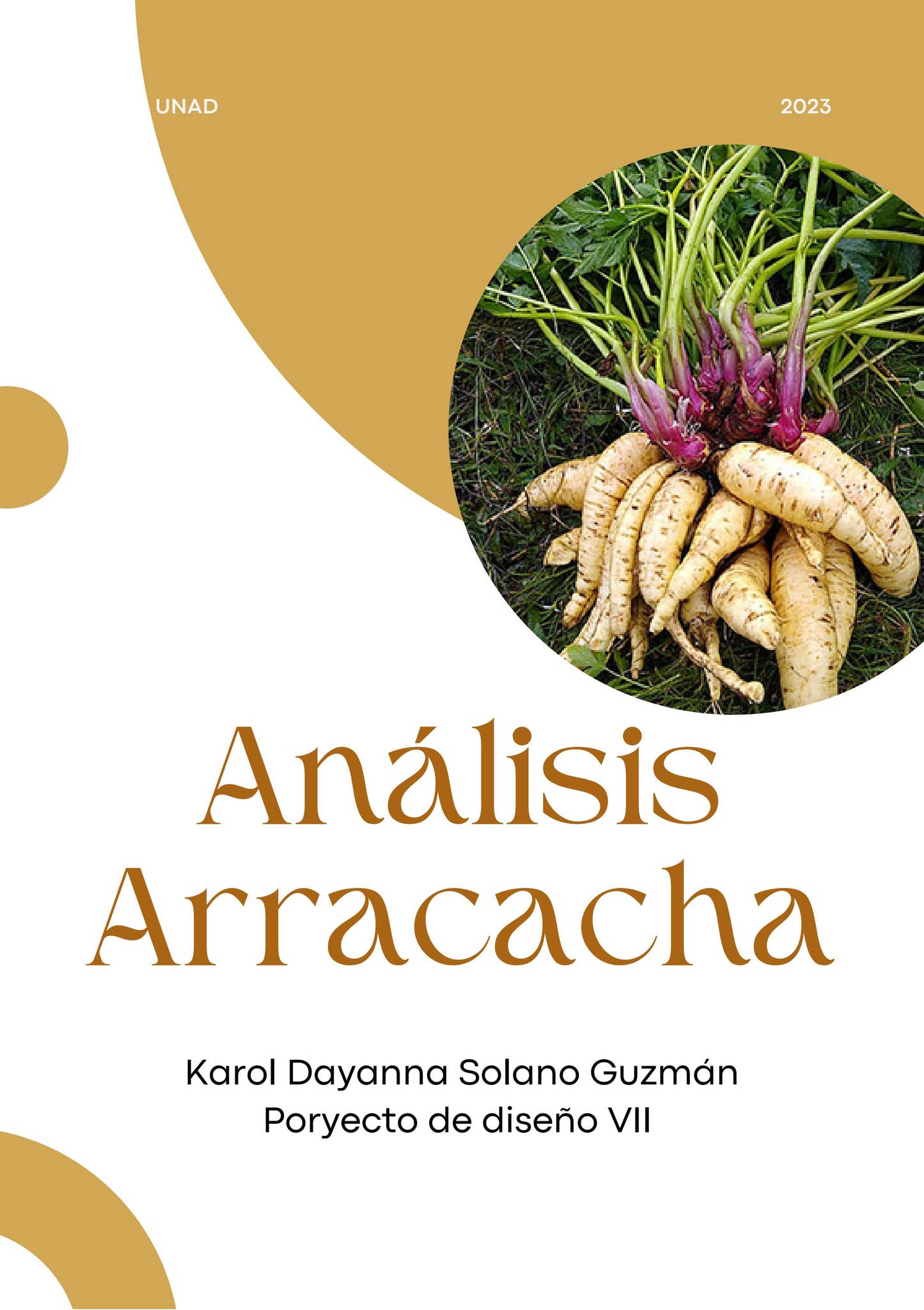 Arracacha by karol solano - Issuu