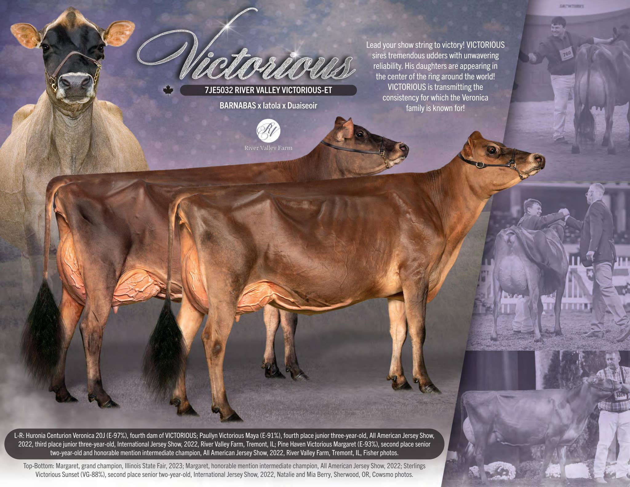 Select Sires Showcase 2023 by Select Sires - Issuu