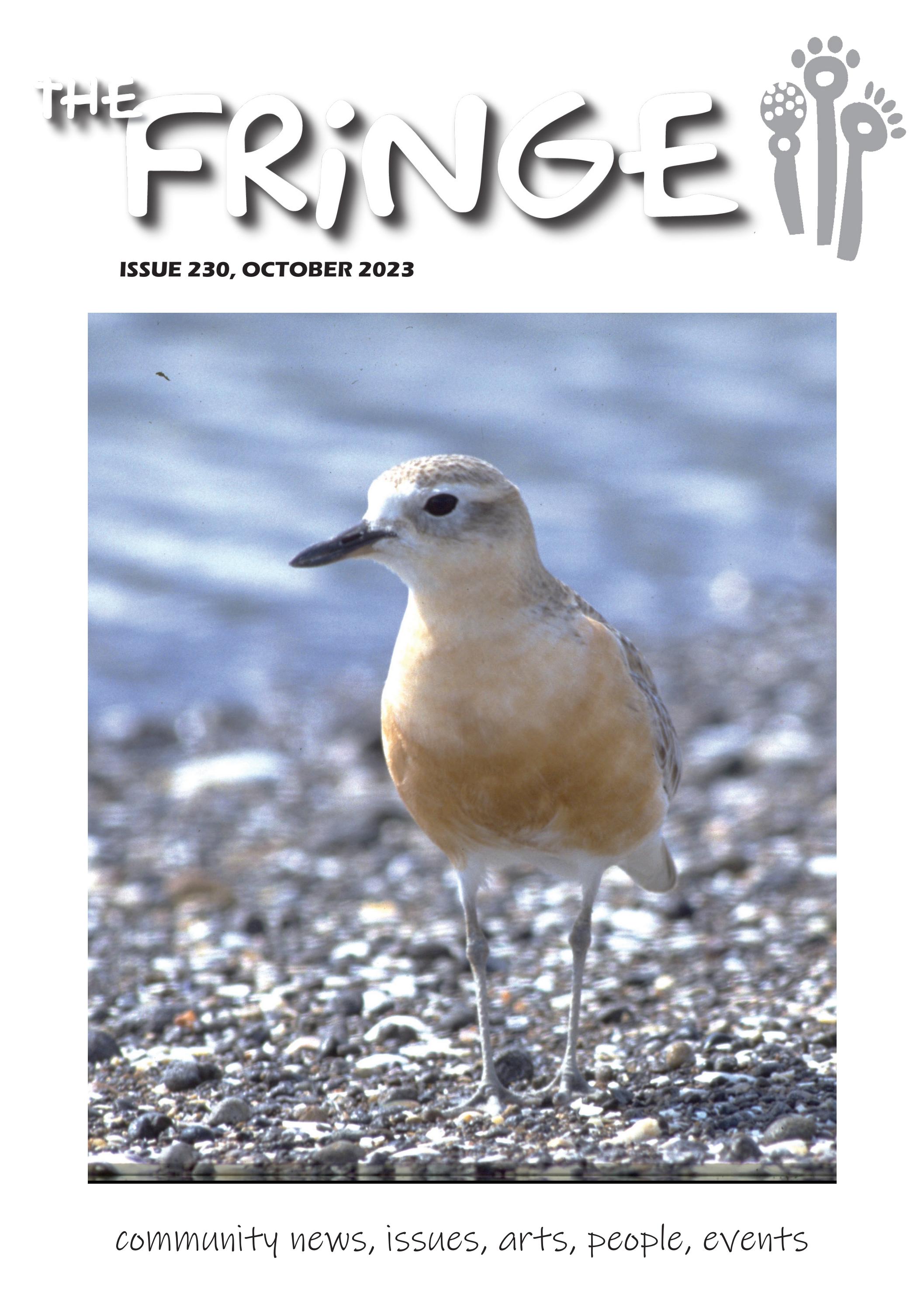 The Fringe, October 2023 by Fringe Media - Issuu