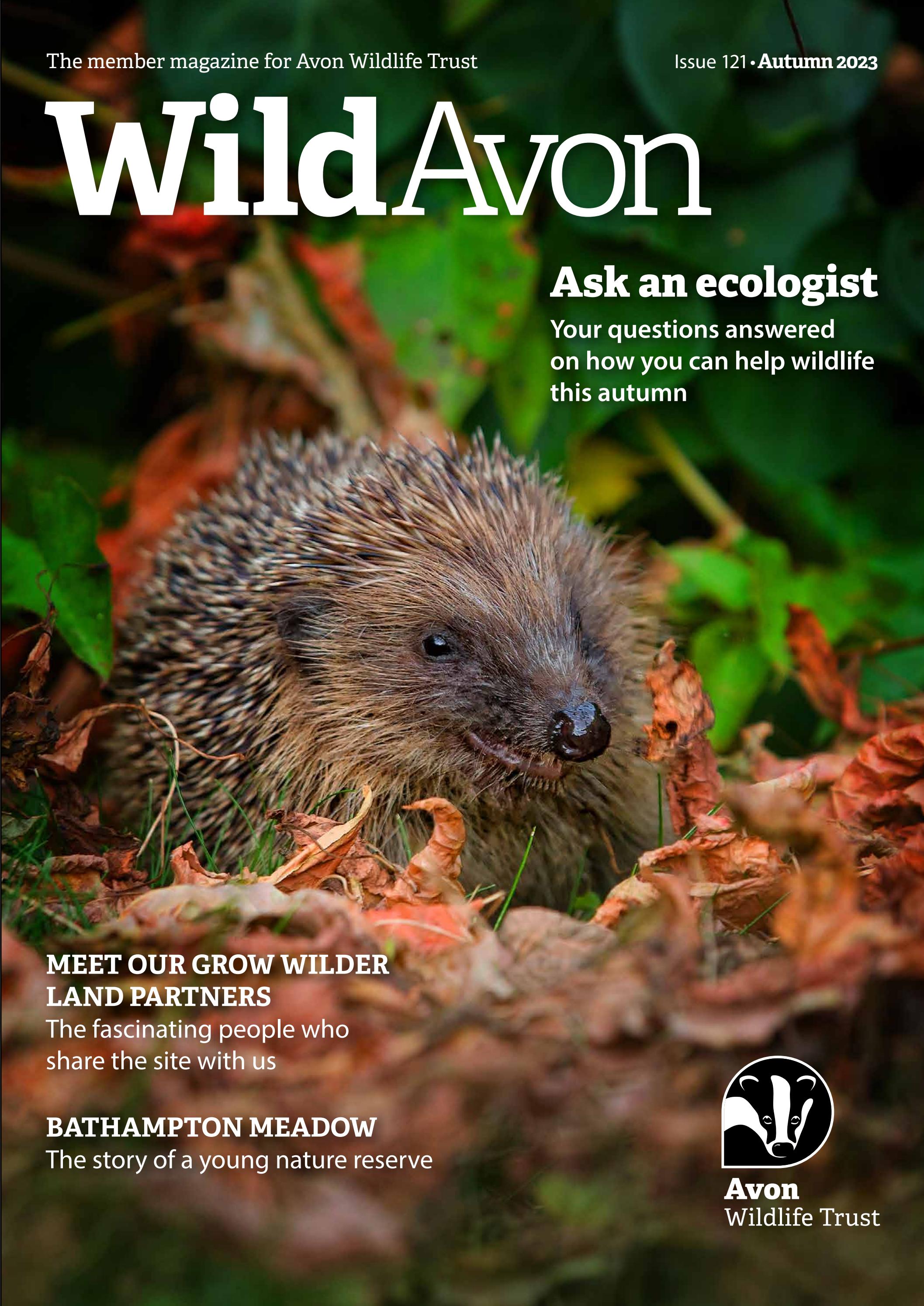 Wild Avon Autumn 2023 - Issue 121 by Avon Wildlife Trust - Issuu