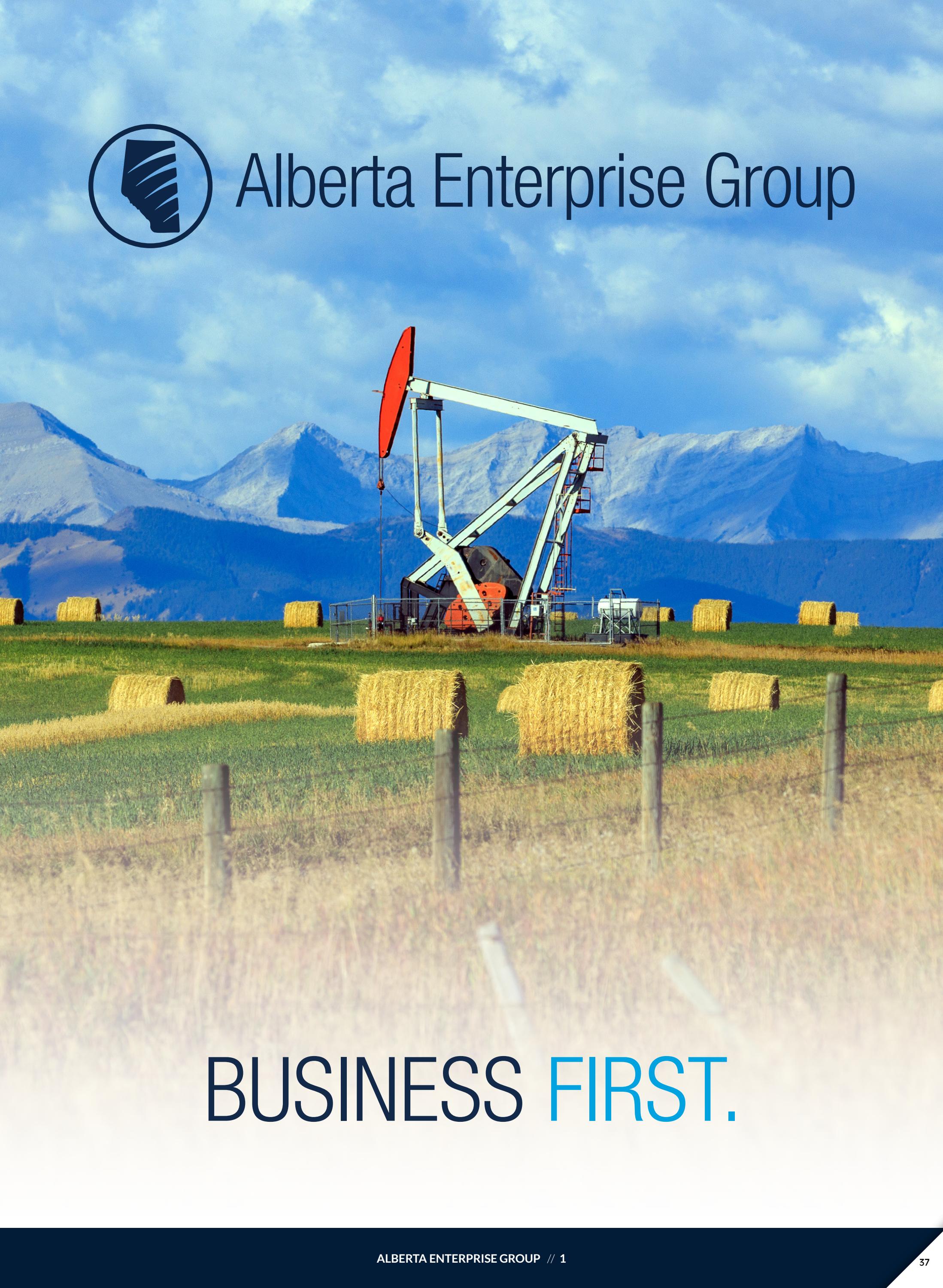 Alberta Enterprise Group - Business First by Business in Edmonton ...