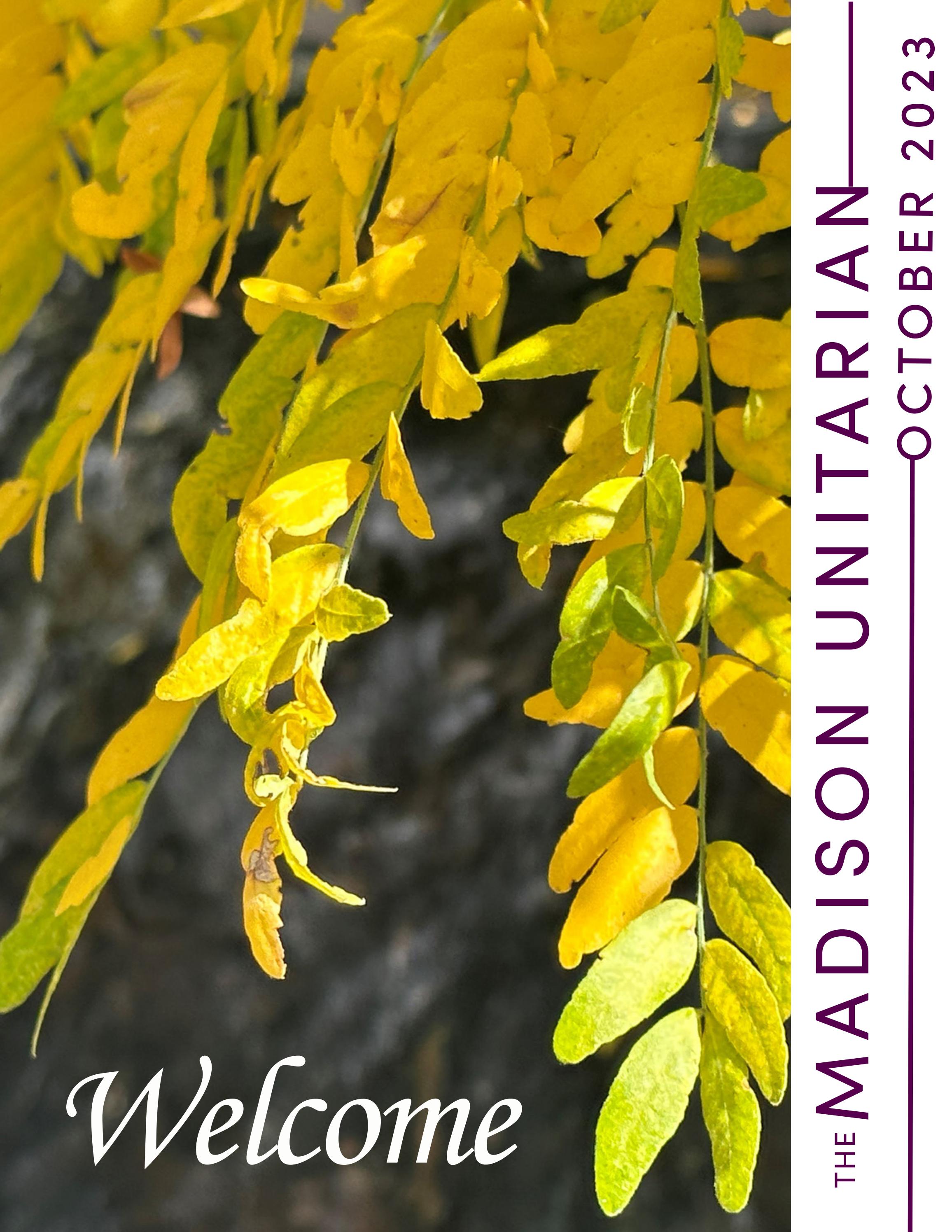 The Madison Unitarian | October 2023 by FUSMadison - Issuu