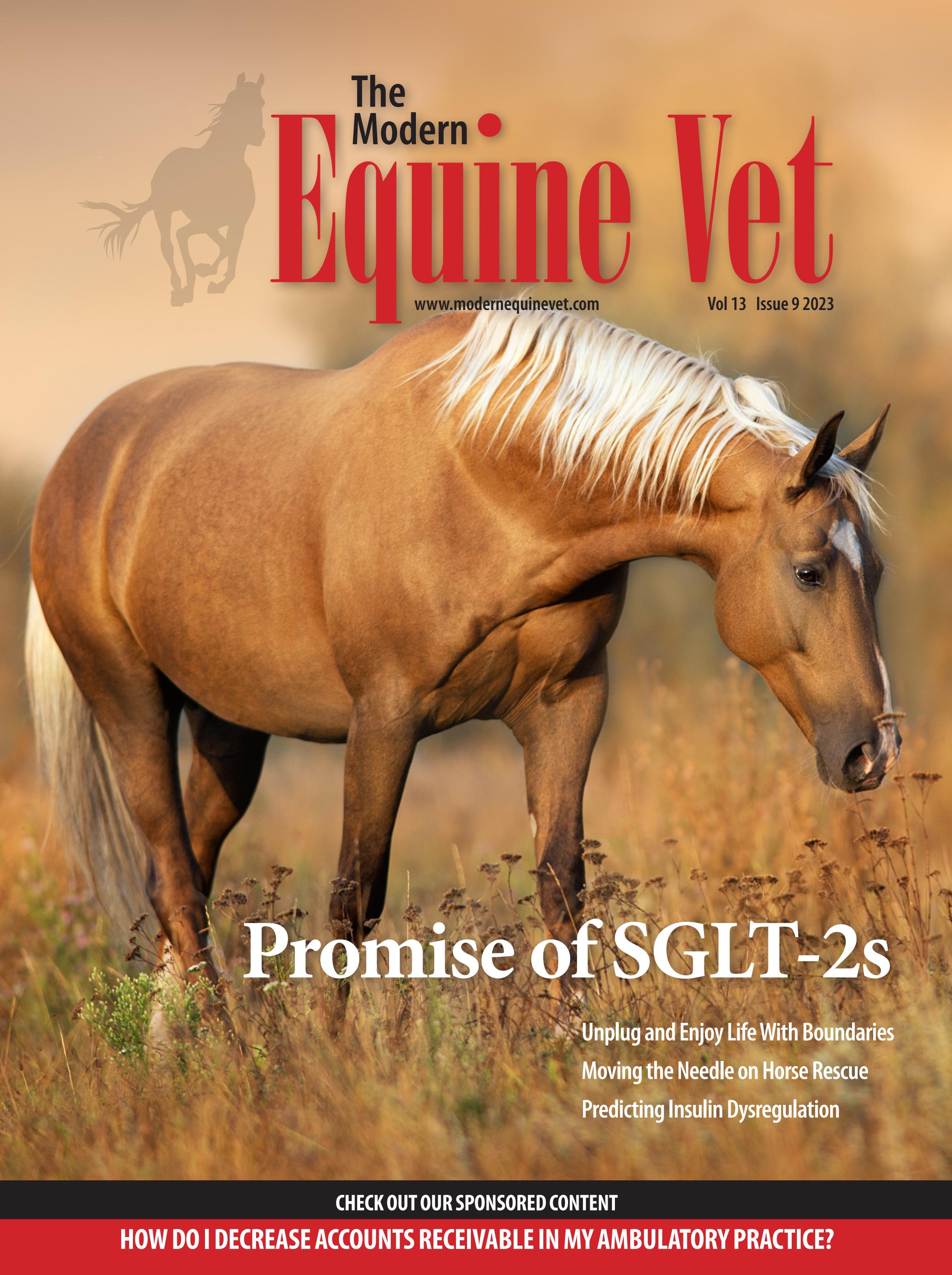 The Modern Equine Vet - September 2023 by The Modern Equine Vet - Issuu
