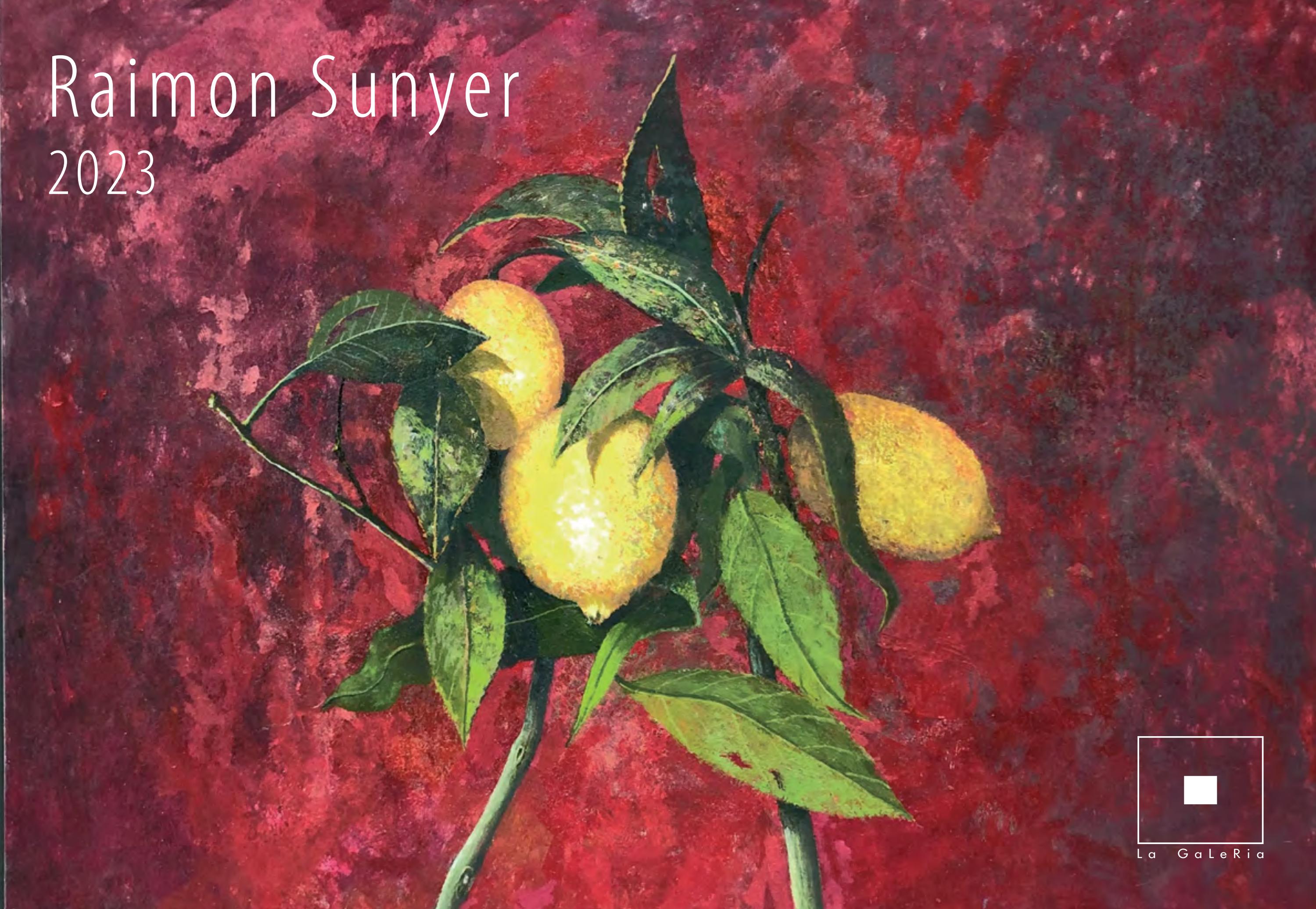 Raimon Sunyer 23 by La GaLeRia - Issuu