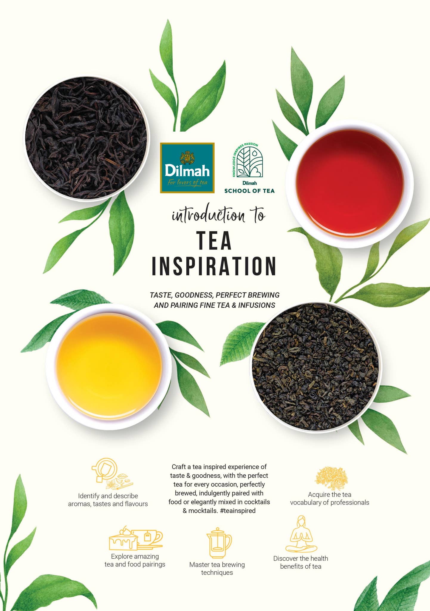 Dilmah Introduction to Tea Inspiration by Dilmah - Issuu