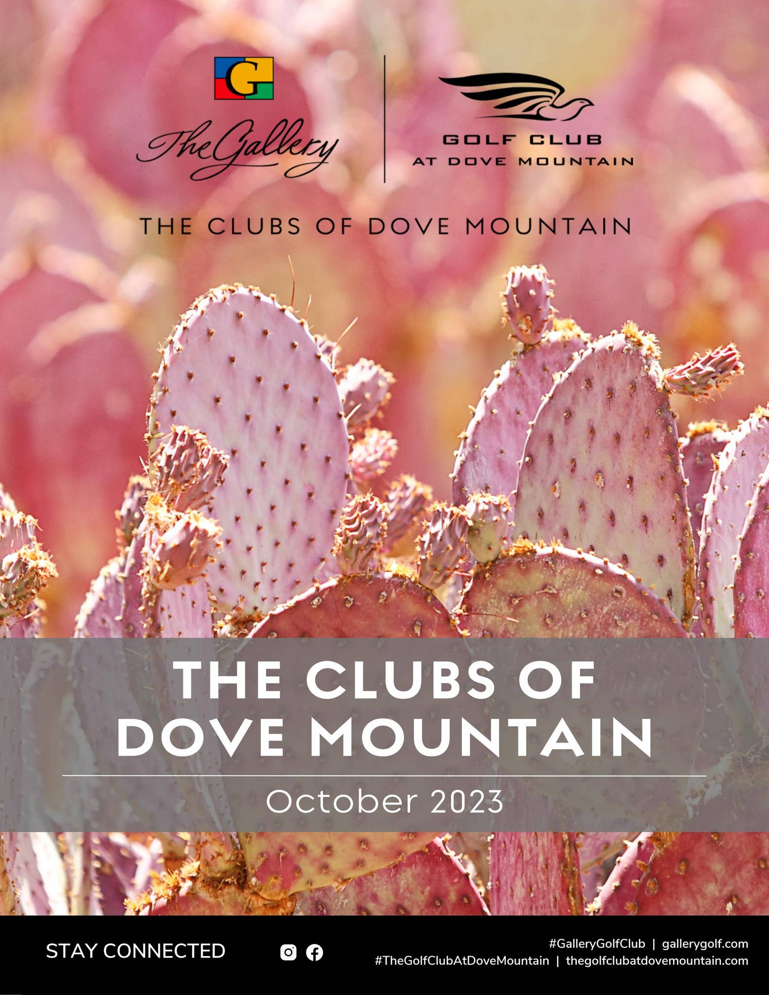Clubs of Dove Mountain - October 2023 by Escalante Golf - Issuu