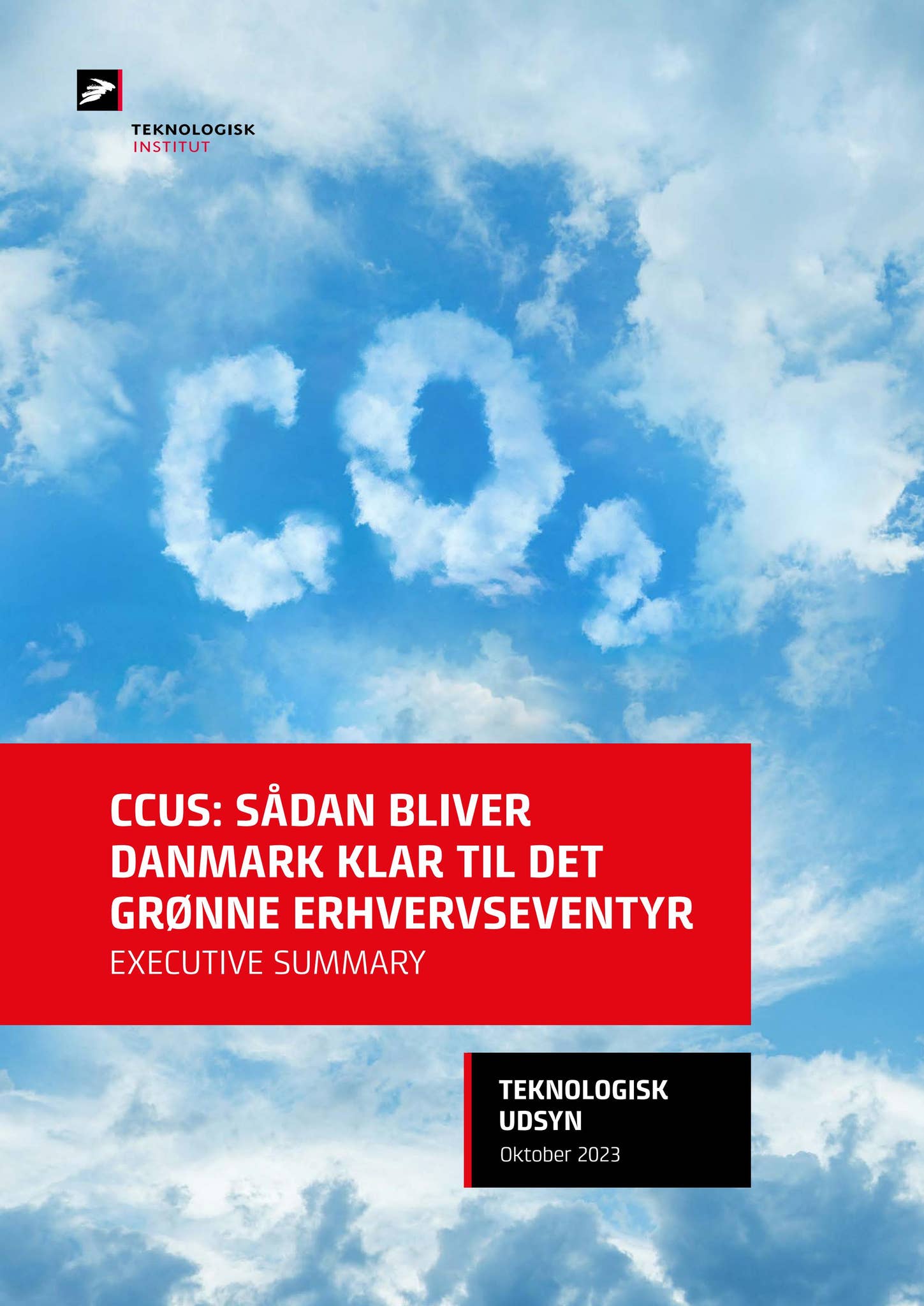 CCUS: Sådan bliver Danmark klar til det grønne erhvervseventyr - Executive Summary by ...