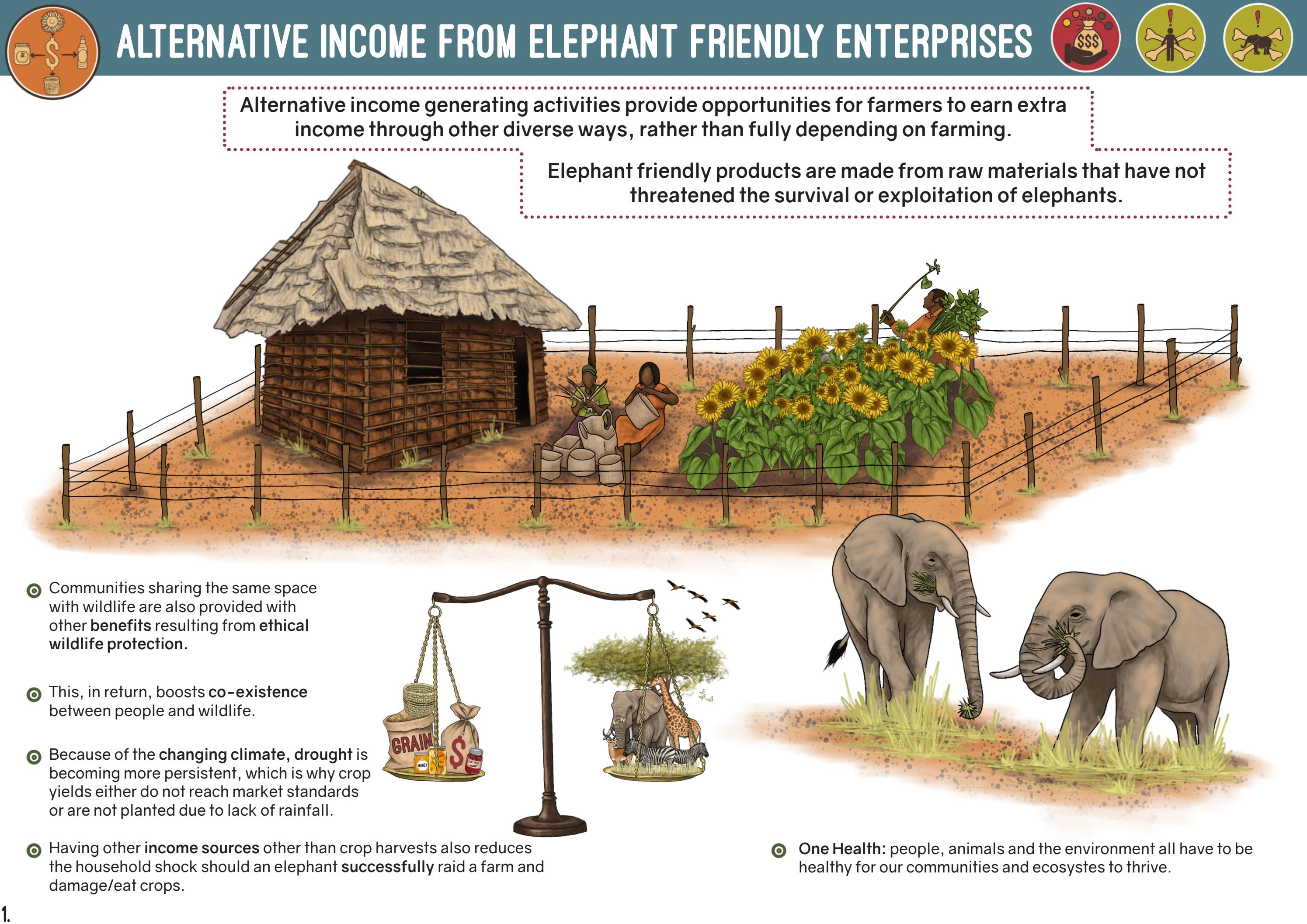 Alternative Income From Elephant Friendly Enterprises by Save The ...