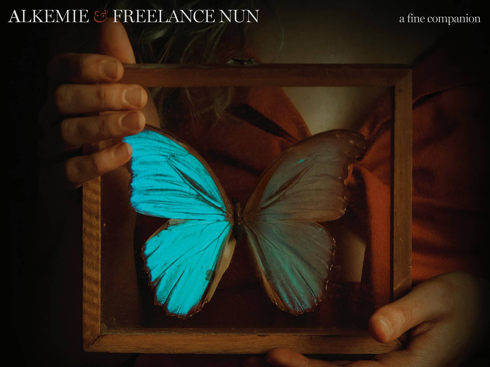 A Fine Companion - digital booklet by Louis Levitt - Issuu