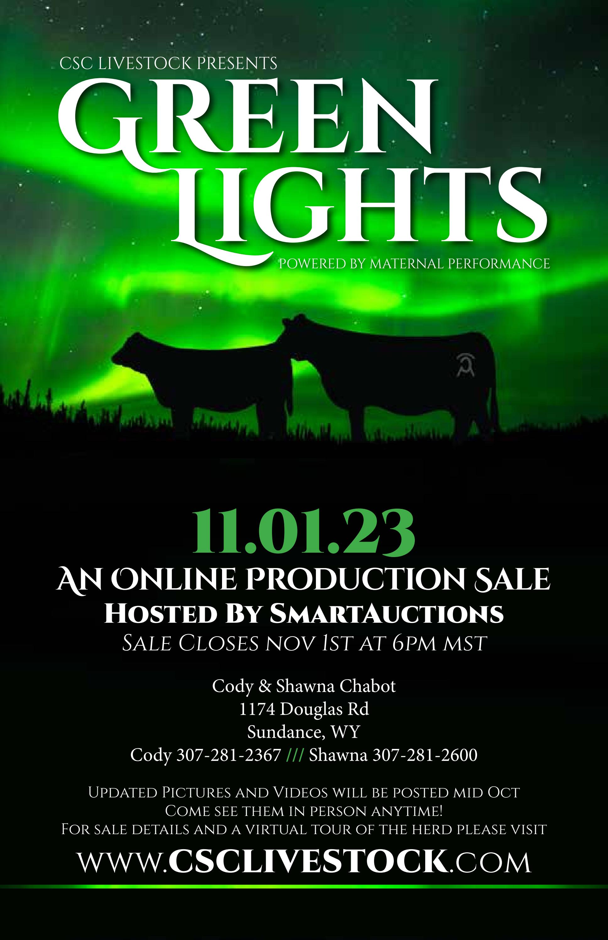 GreenLights - CSC Online Production Sale by Meghan Black Design - Issuu