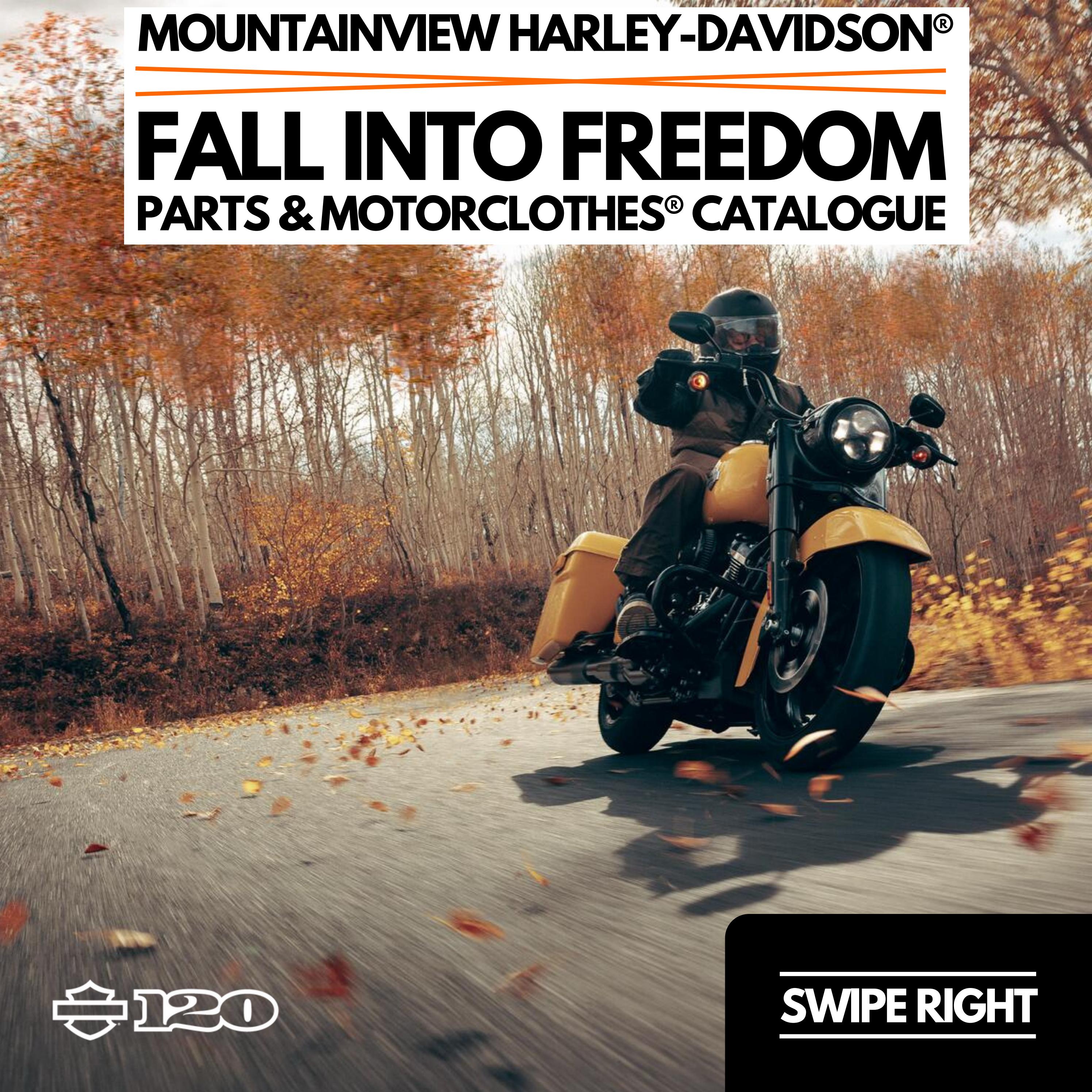 MVHD Fall Into Freedom Catalogue by mvh-d - Issuu