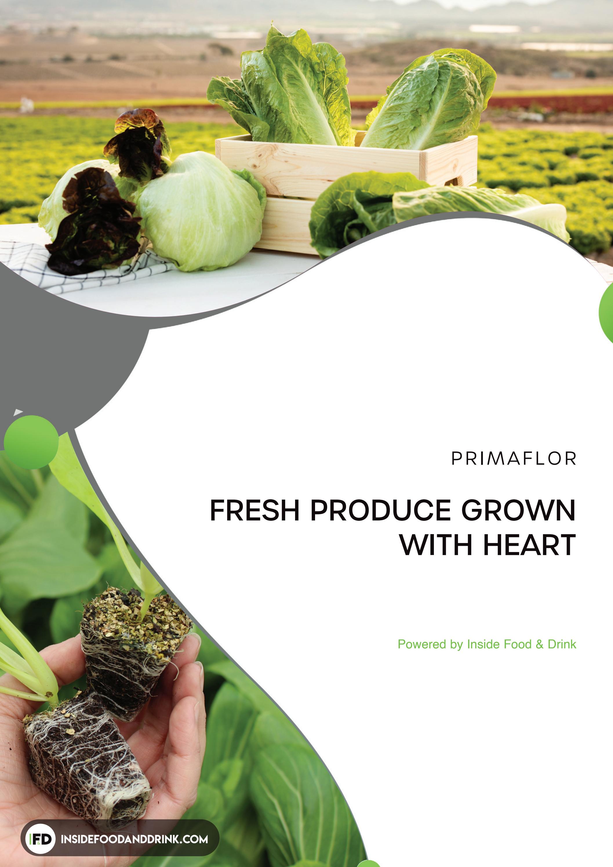 Primaflor by ProactivePublications - Issuu