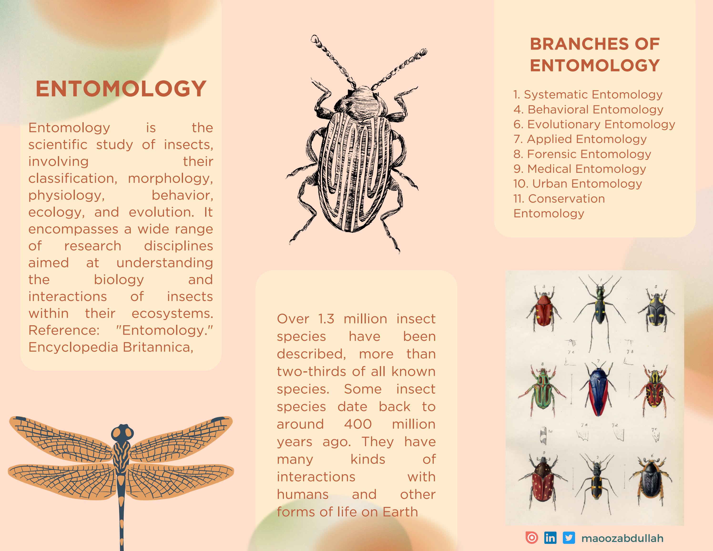 Entomology by Maooz Abdullah - Issuu