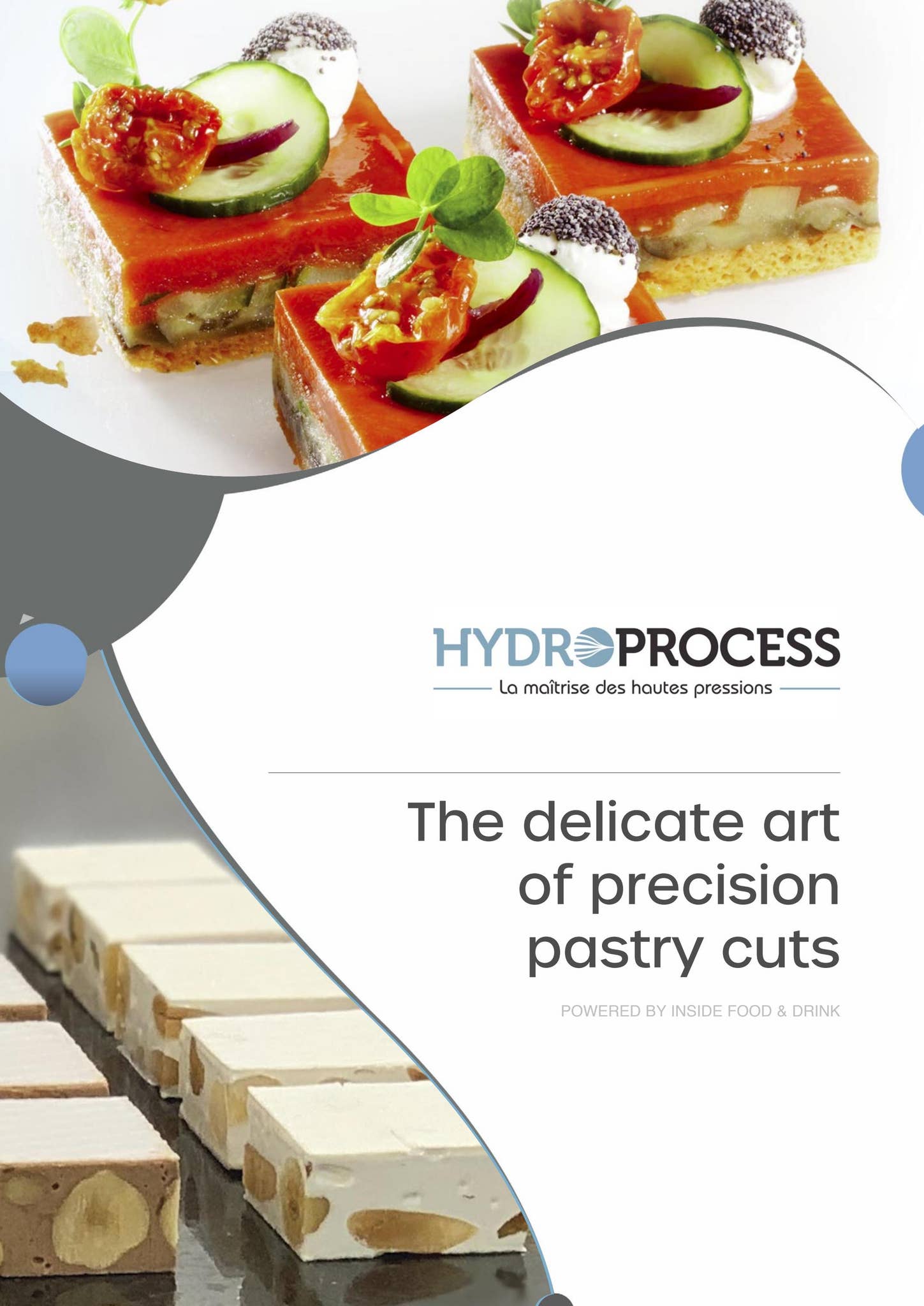 HydroProcess by ProactivePublications - Issuu