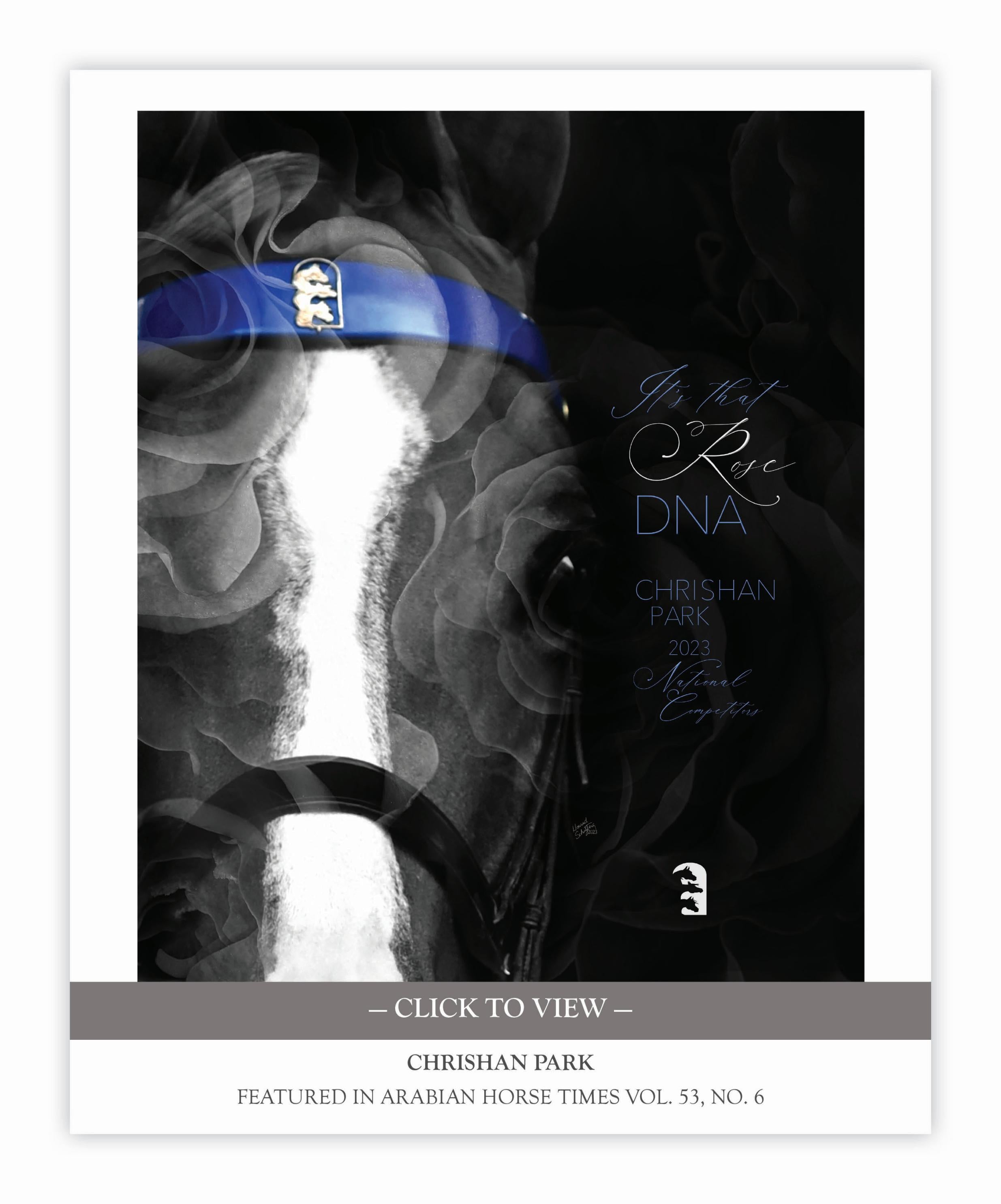 AHT Vol.53, No.6 - ChriShan Park by Arabian Horse Times - Issuu