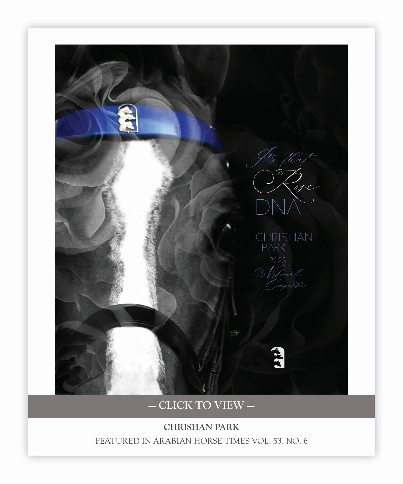 AHT Vol.53, No.6 - ChriShan Park by Arabian Horse Times - Issuu