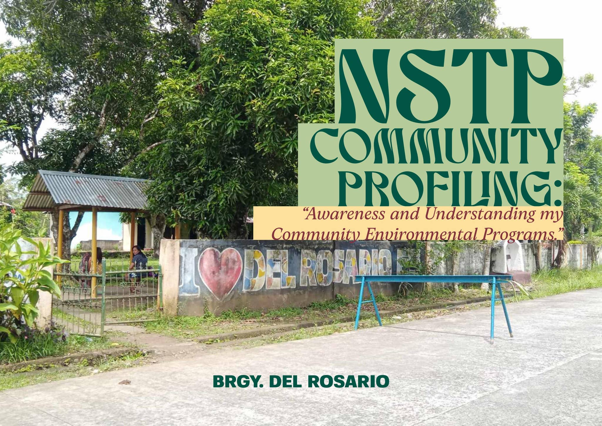 NSTP - Community Profiling (BRGY. DEL ROSARIO) by Joshua Bulgado - Issuu