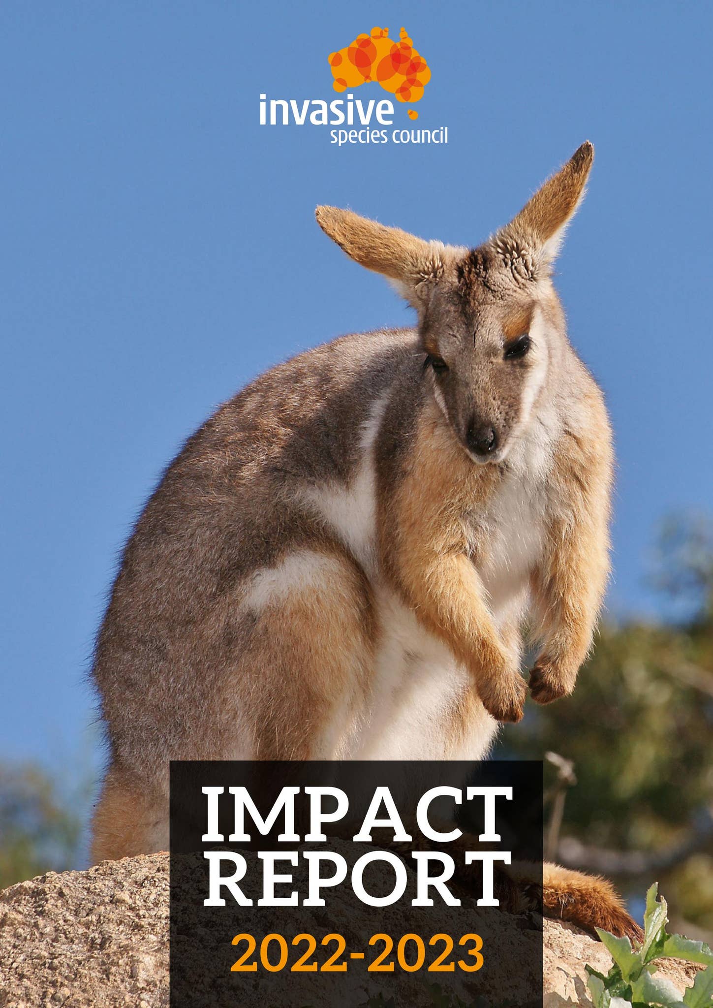 Annual Report 22-23 by Invasive Species Council - Issuu