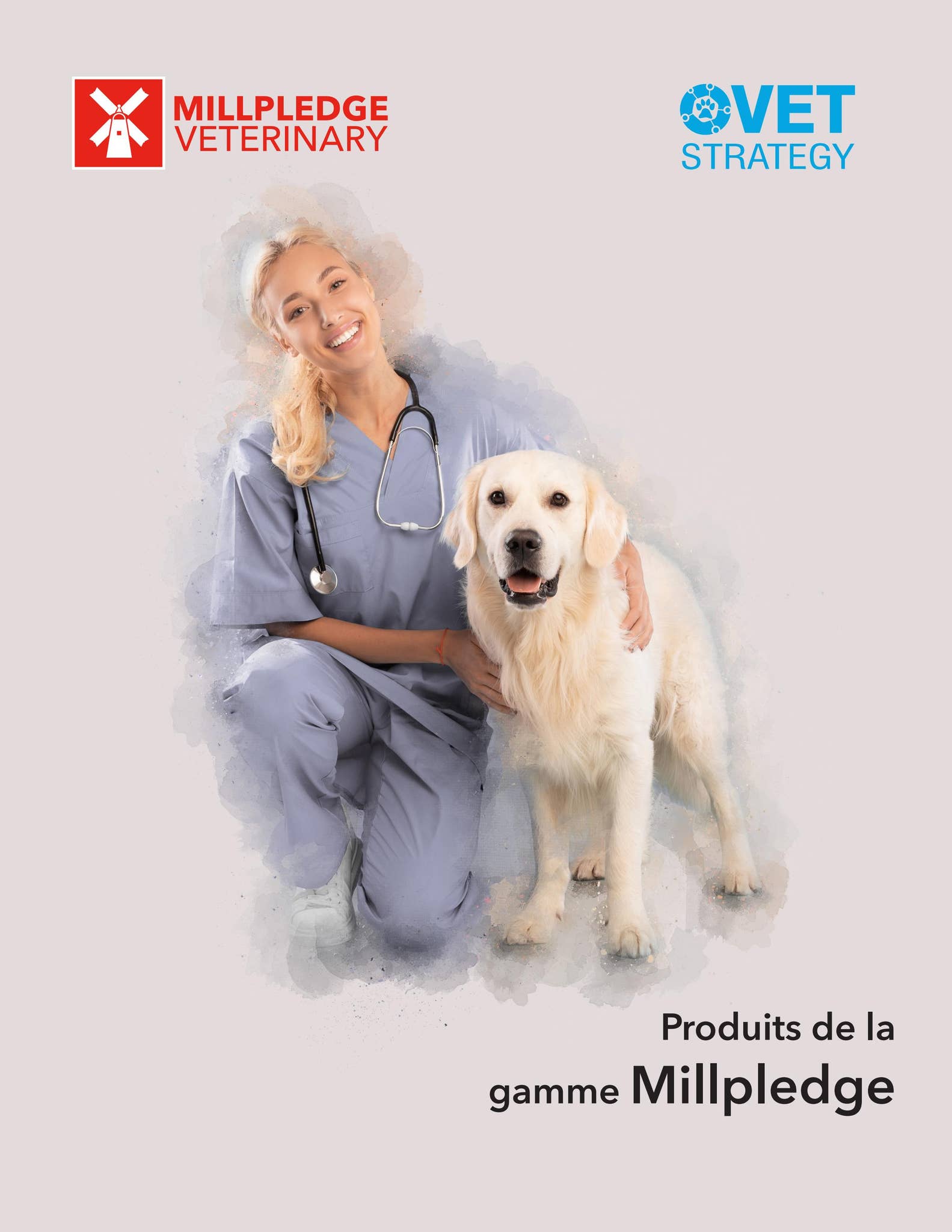 VETSTRATEGY Brochure FR CAN by Millpledge - Issuu