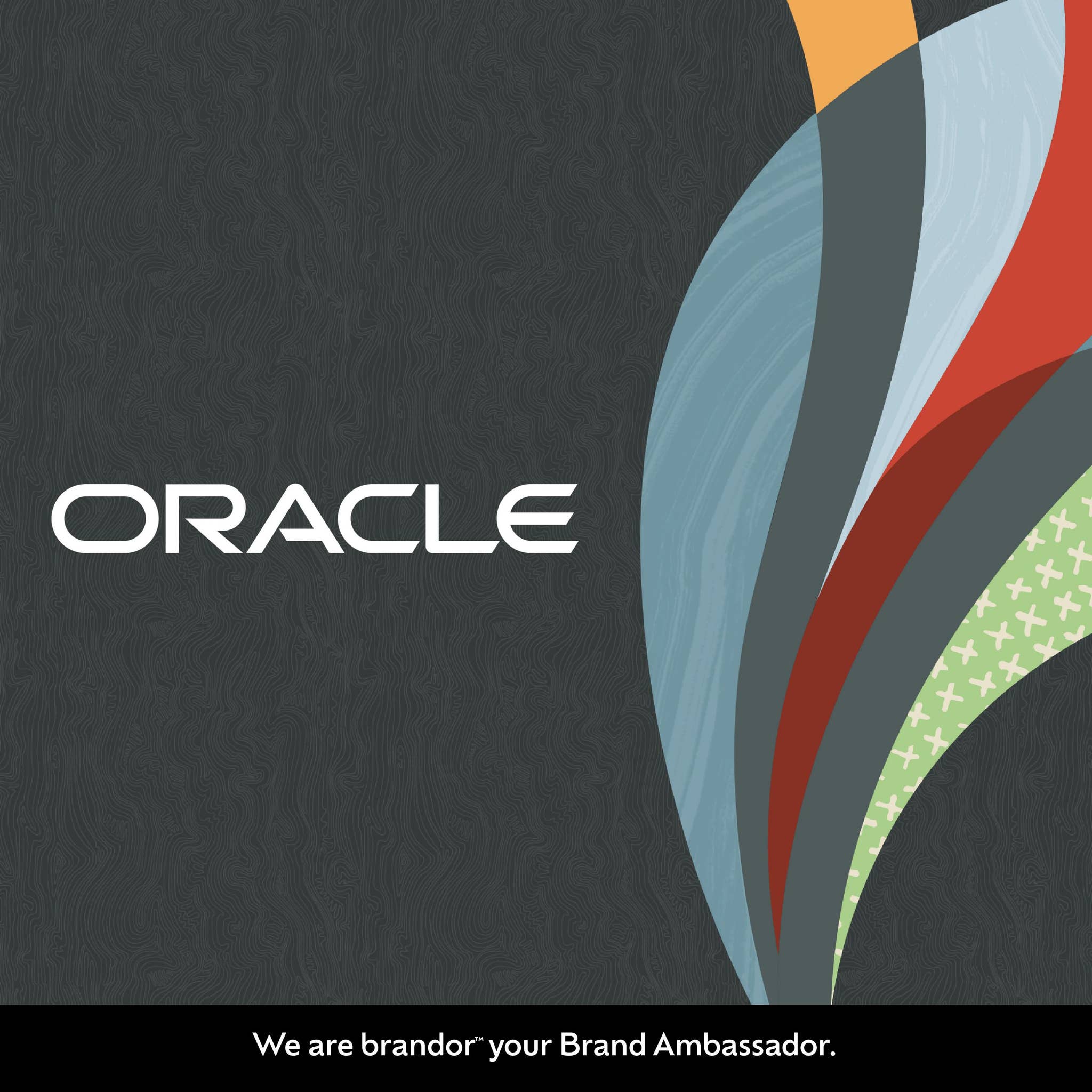 Oracle | Brand Lookbook by Delano Bartolomei - Issuu