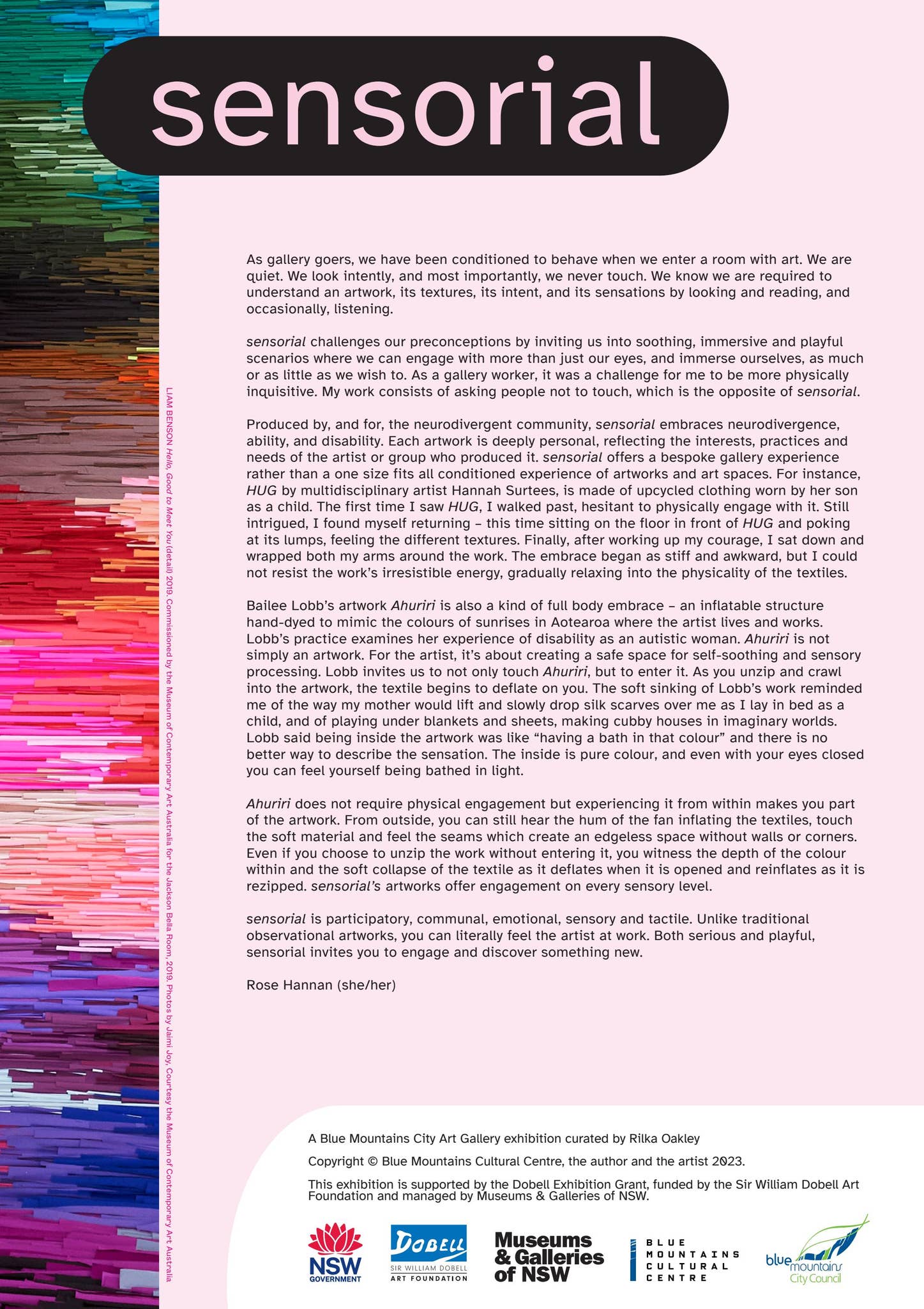 Rose Hannan sensorial essay by Blue Mountains Cultural Centre - Issuu