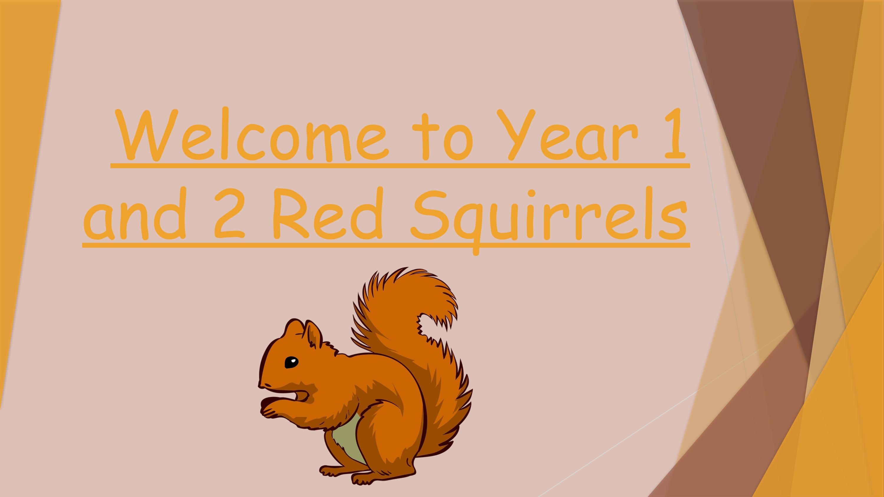 Red Squirrels welcome by Schudio - Issuu