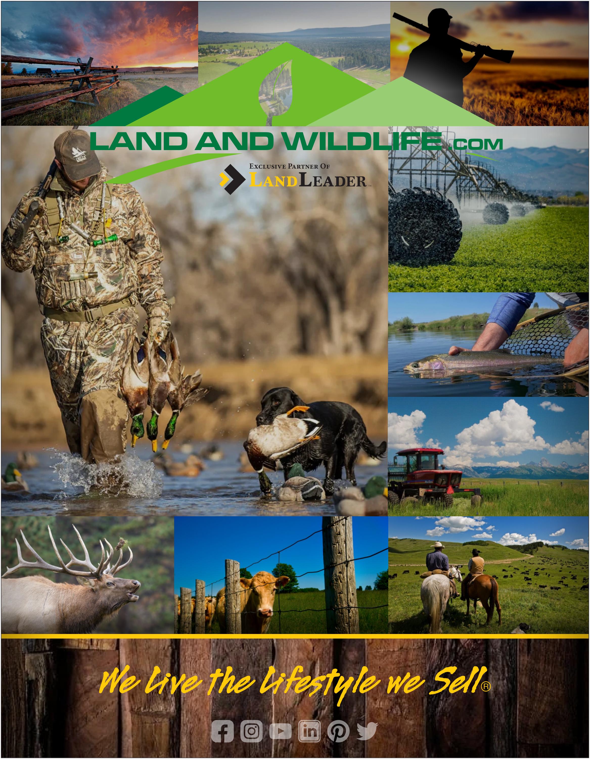 Land and Wildlife Brochure by Land and Wildlife - Issuu