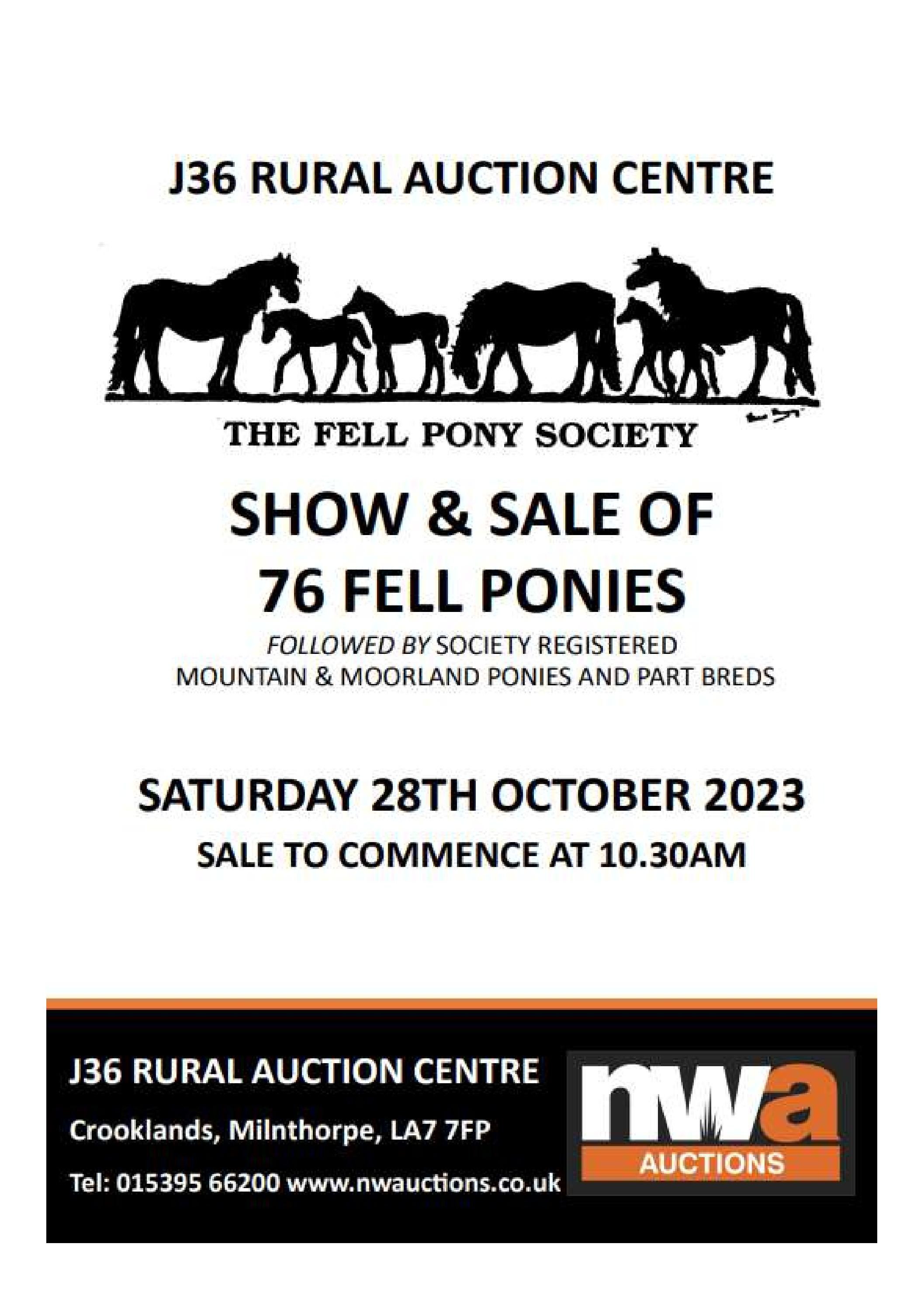 J36 Fell Pony Sale, Saturday 28th October 2023 by North West Auctions ...