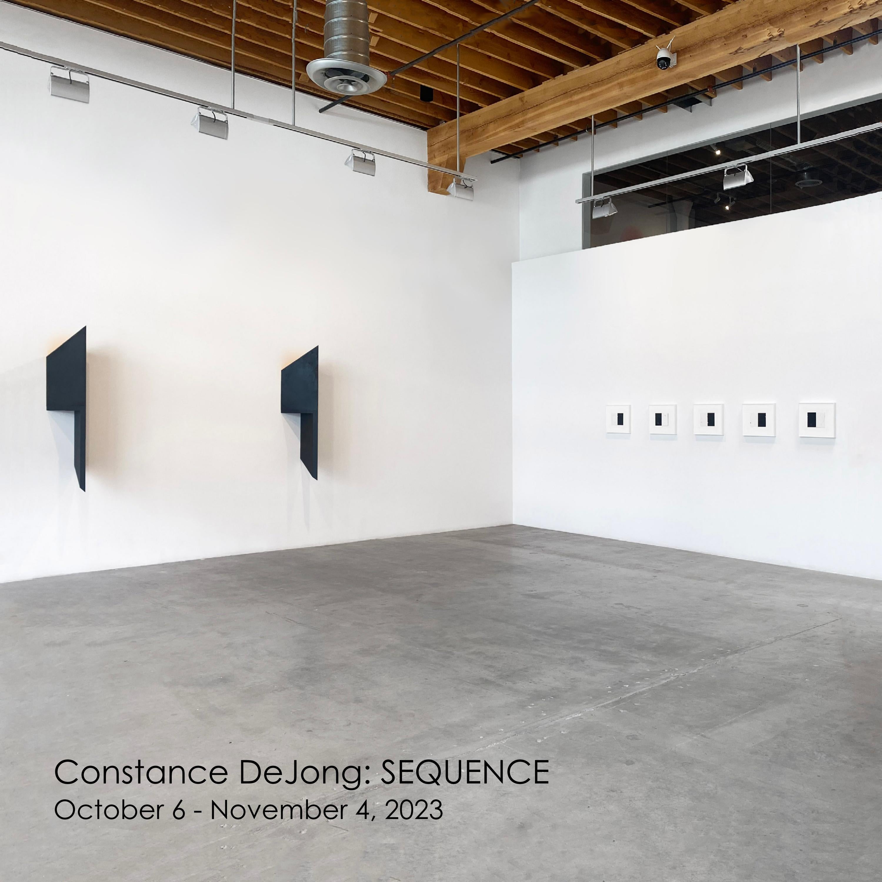 Constance DeJong: SEQUENCE by Charlotte Jackson Fine Art - Issuu