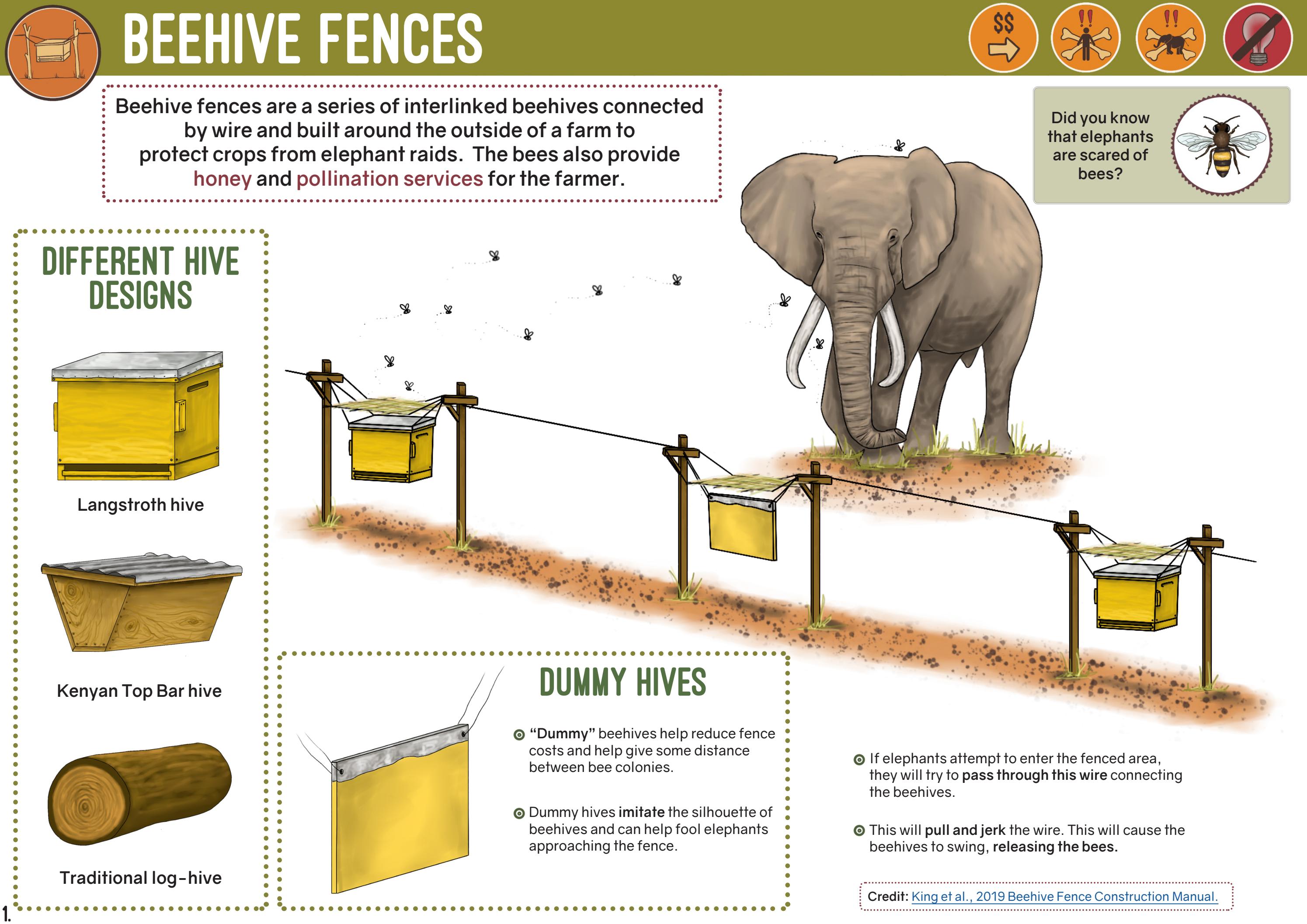 Beehive Fences by Save The Elephants - Issuu