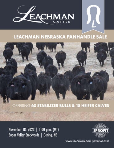 2023 Leachman Nebraska Panhandle Sale by Leachman - Issuu