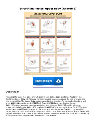 PDF/READ/DOWNLOAD Stretching Poster: Upper Body (Anatomy) read by ...