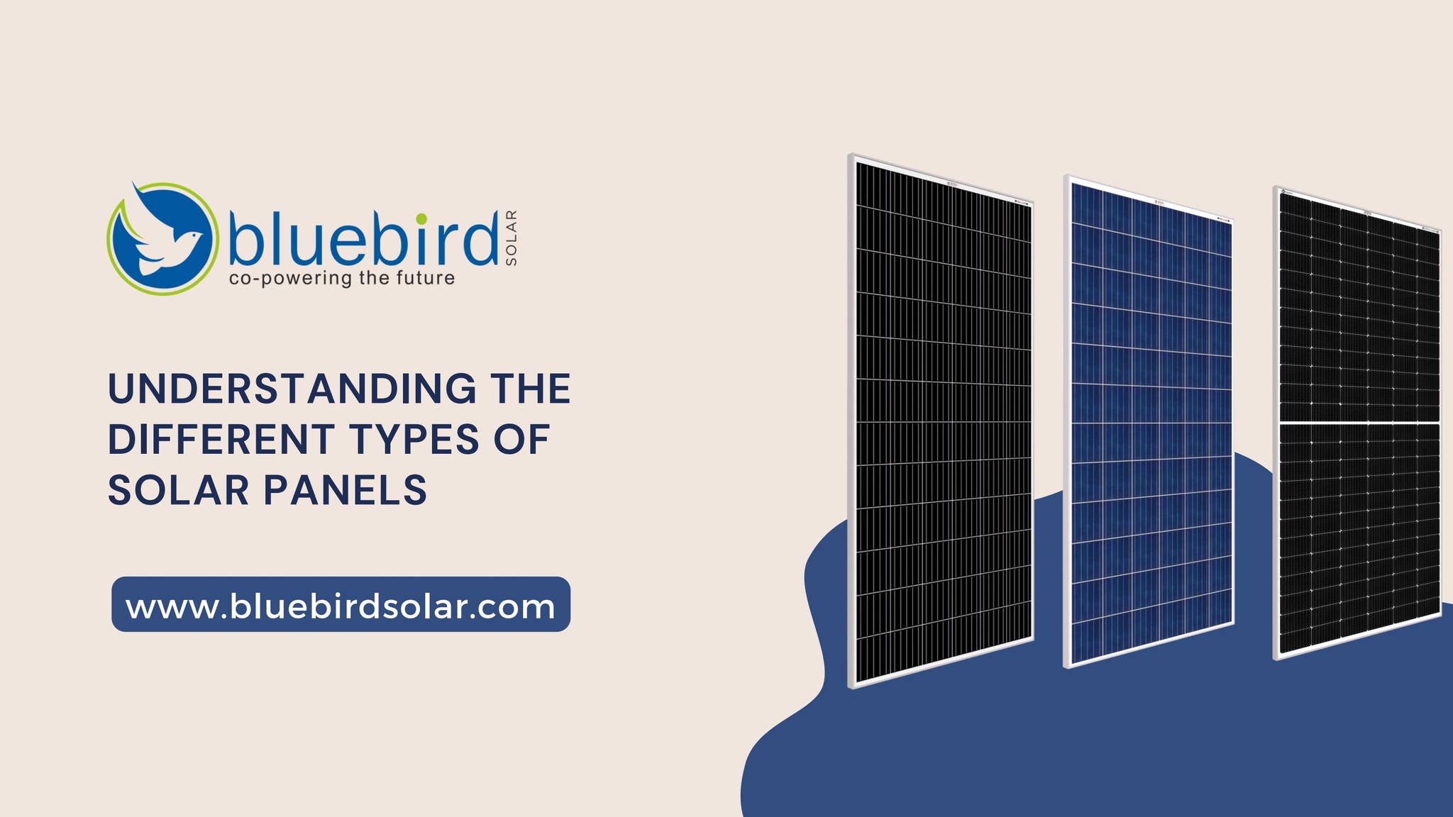 Comprehensive Guide to Solar Panel Types by Bluebird Solar Pvt. Ltd ...