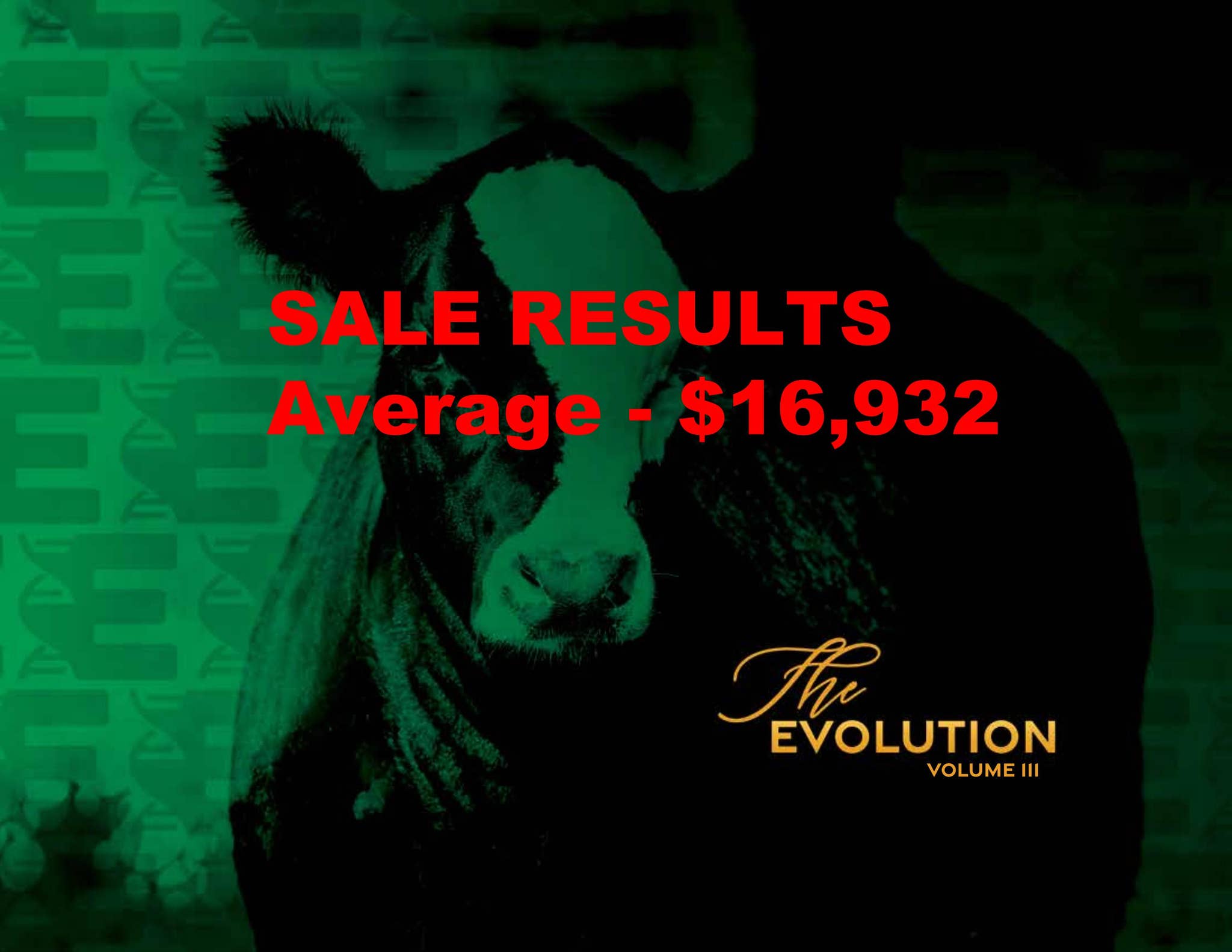 The Evolution: Volume 3 2023 :: SALE RESULTS by Bohrson Marketing ...