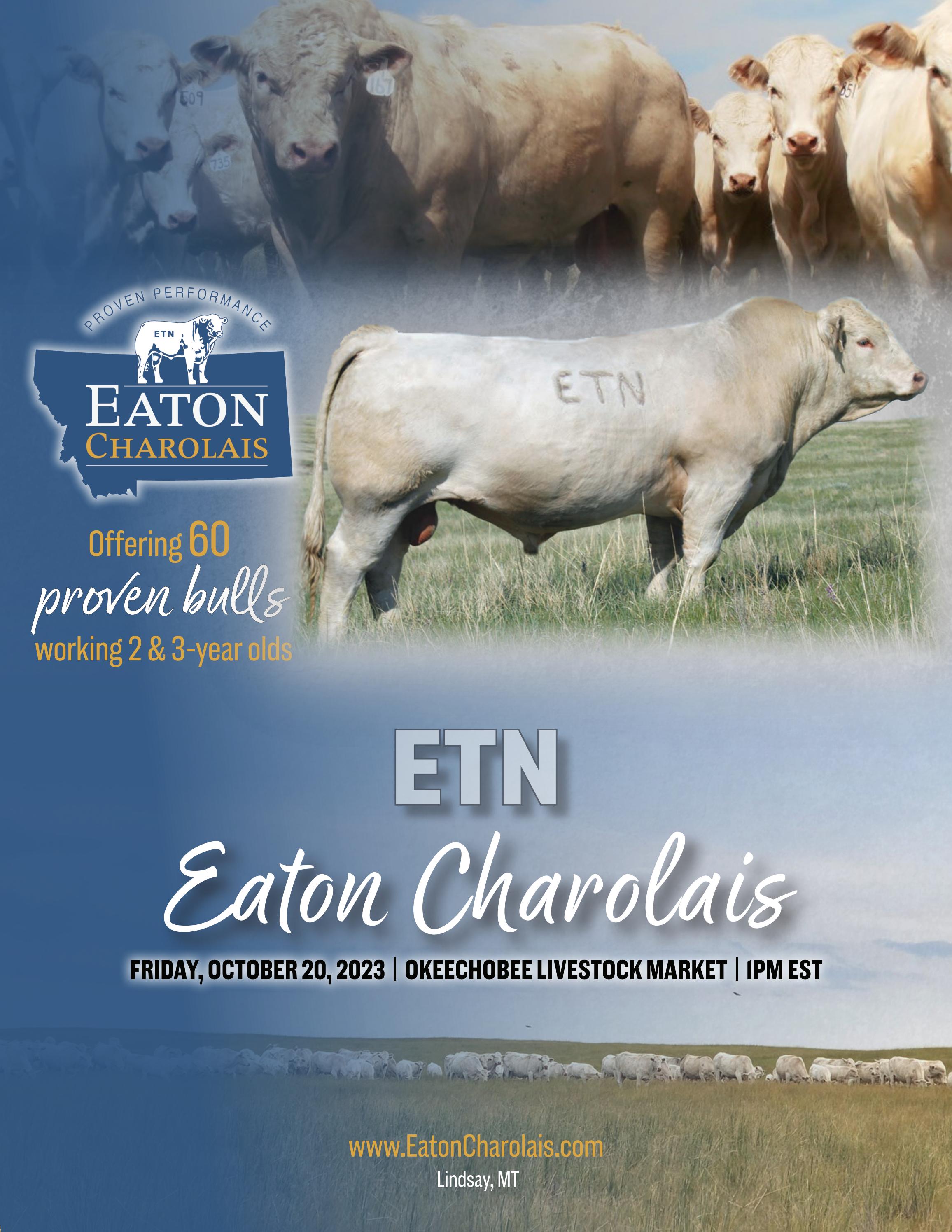 Eaton Charolais Ranch - Okeechobee, Florida Sale by ...