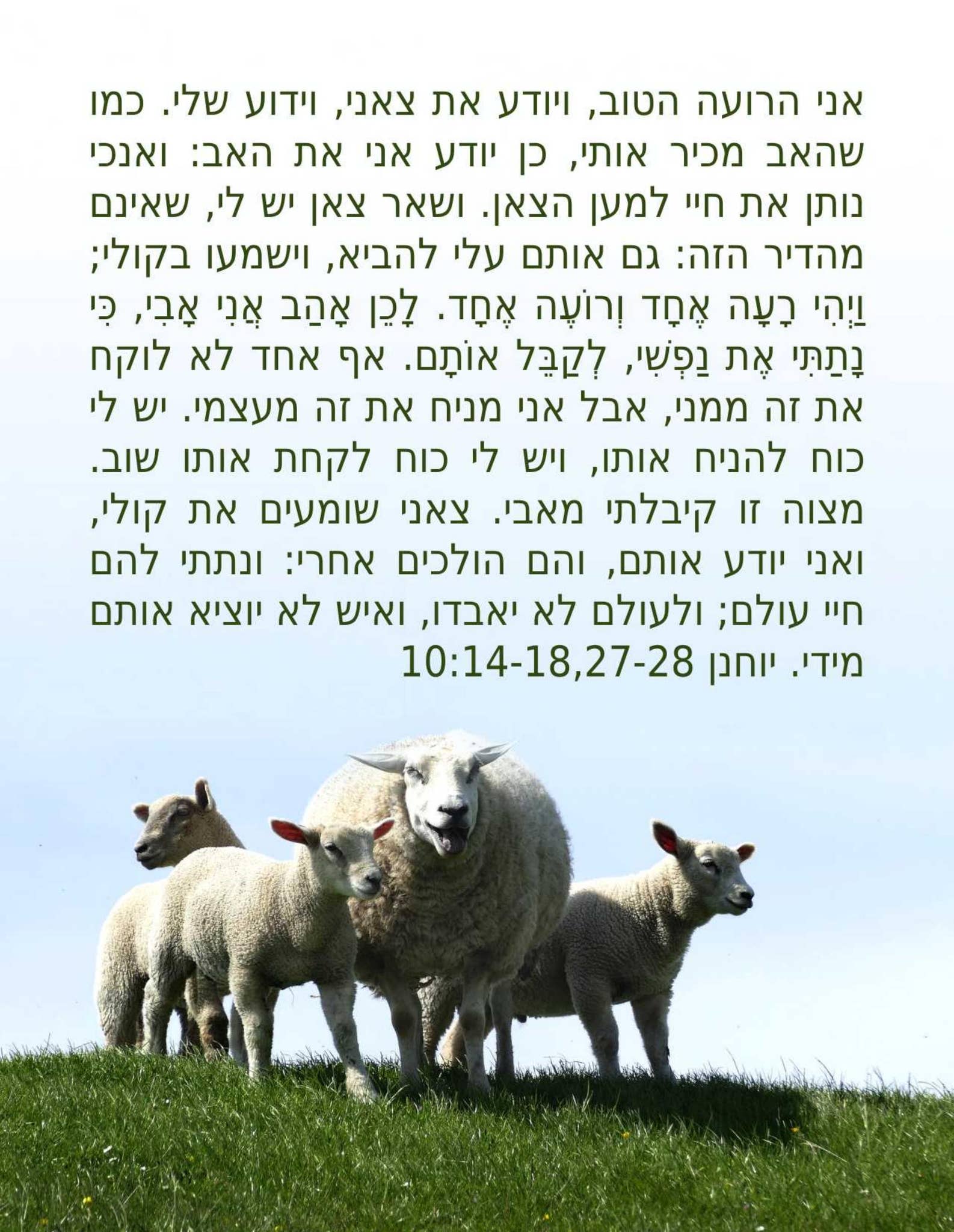 Hebrew - Good Shepherd Gospel Tract by Filipino Tracts and Literature ...