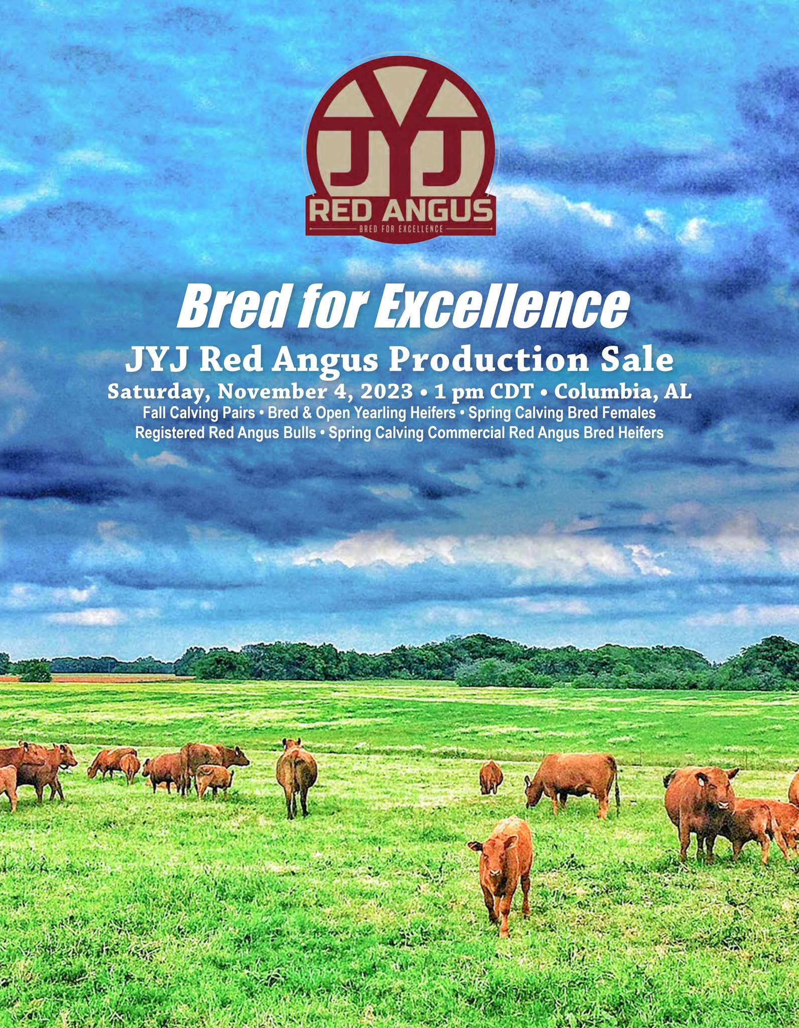 JYJ Red Angus - 2023 Fall Production Sale by LivestockDirect - Issuu
