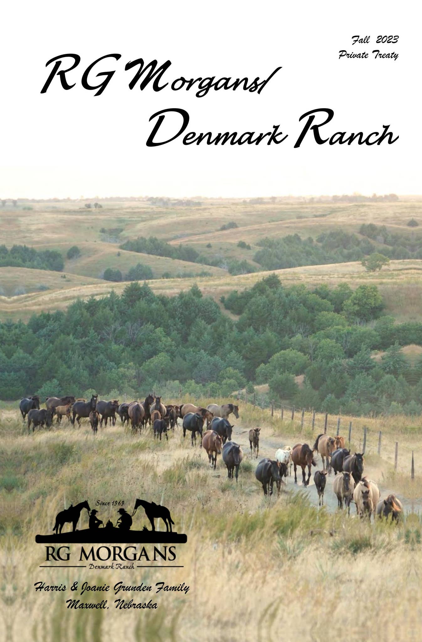 RG Morgans/Denmark Ranch - 2023 Fall Sale Catalog by LivestockDirect ...