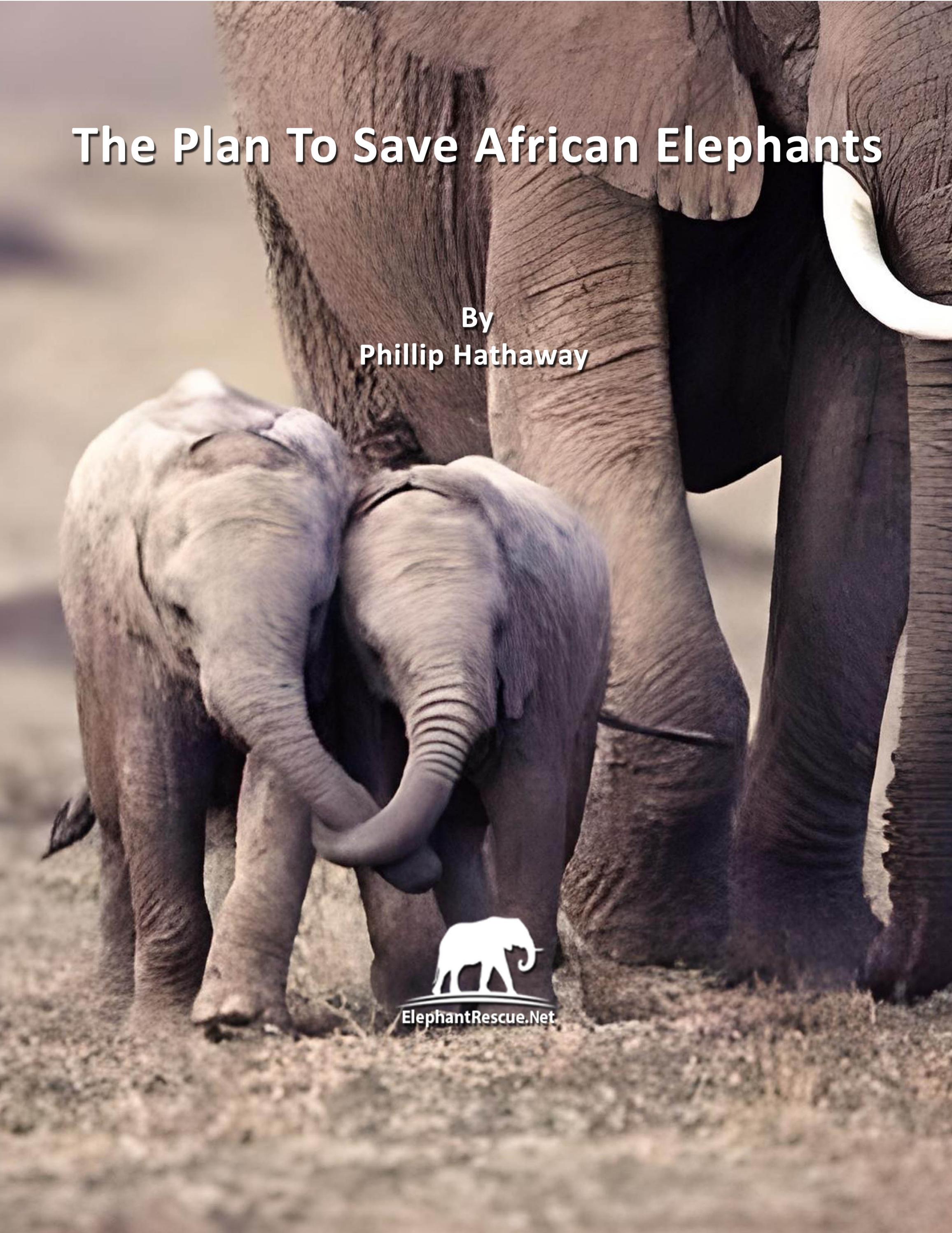 The Plan to Save African Elephants by PhillipHathaway - Issuu